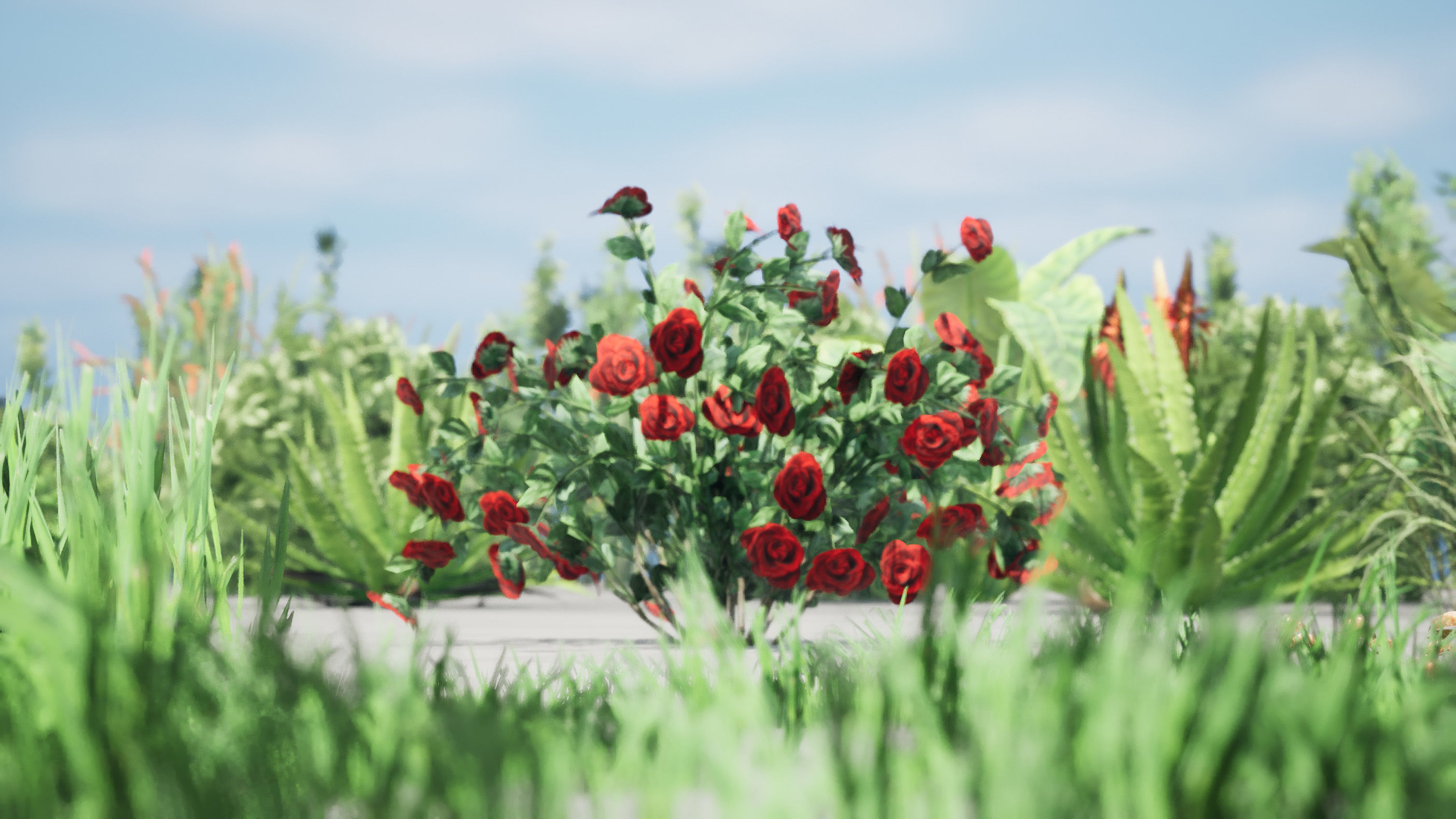 3D model Realistic Low poly Plants Pack VR / AR / low-poly | CGTrader