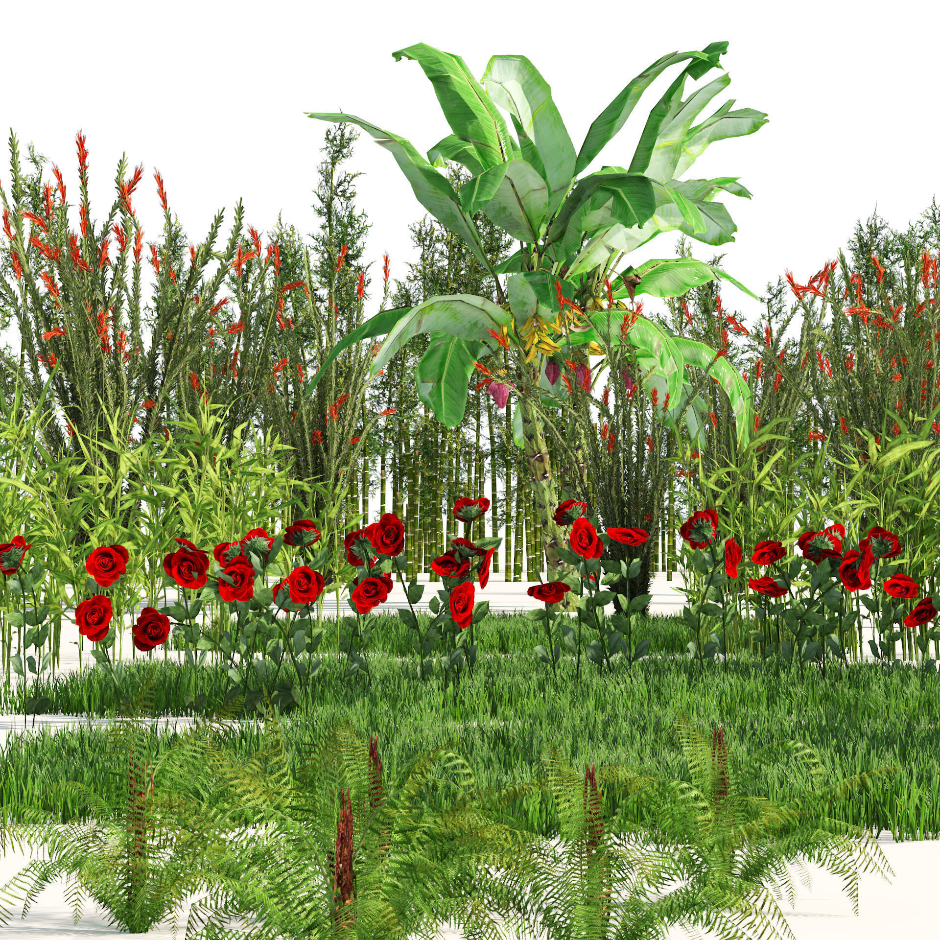 3D model Realistic Low poly Plants Pack VR / AR / low-poly | CGTrader