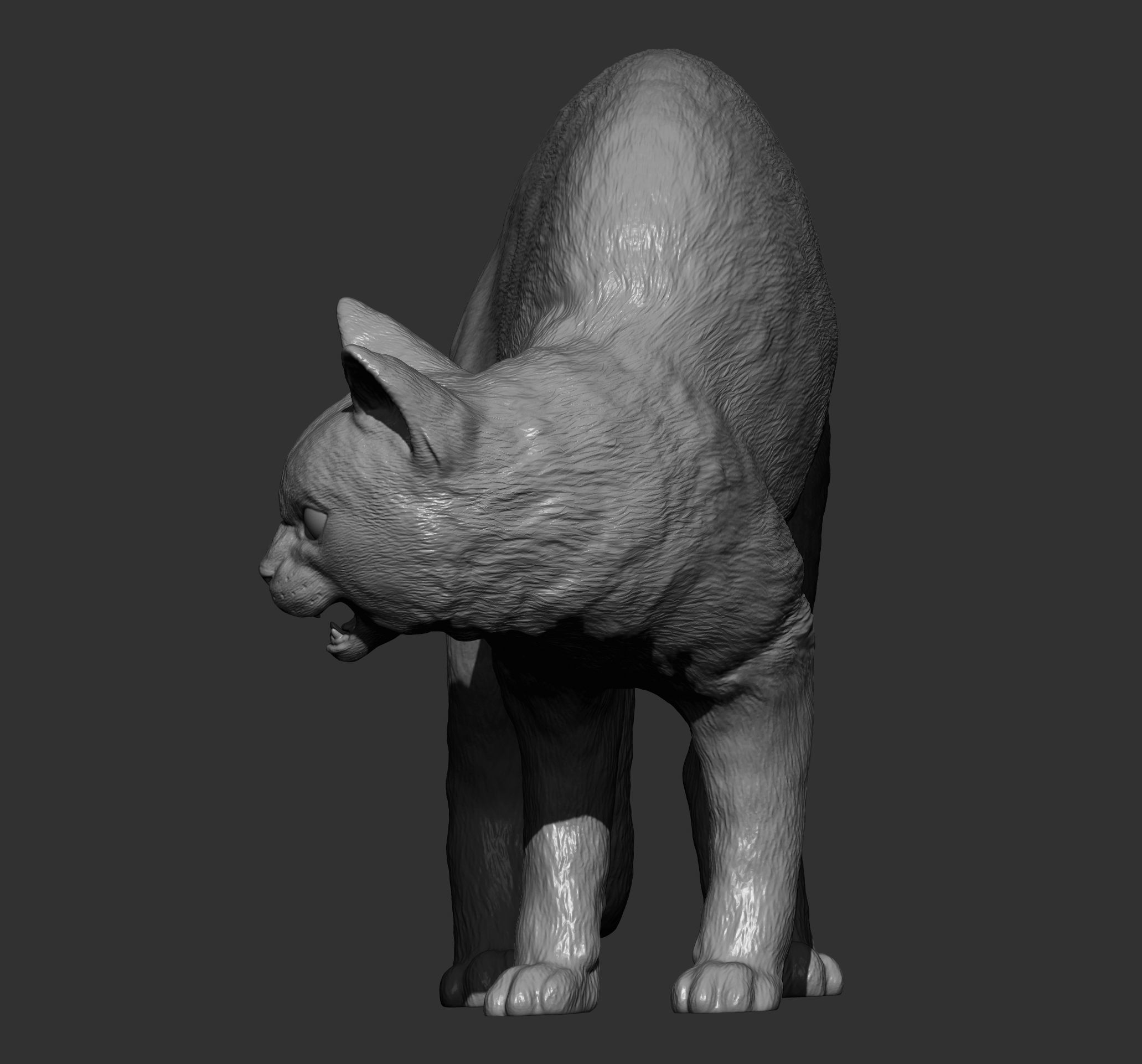 aggressive cat 3D model 3D printable | CGTrader