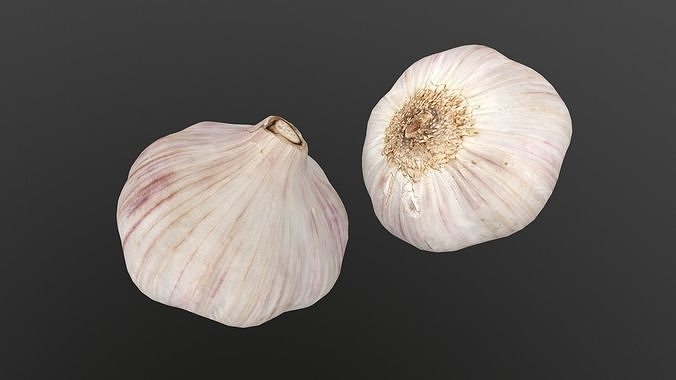 3D model Photorealistic Garlic 3D Scan AR VR PBR VR / AR / low-poly ...