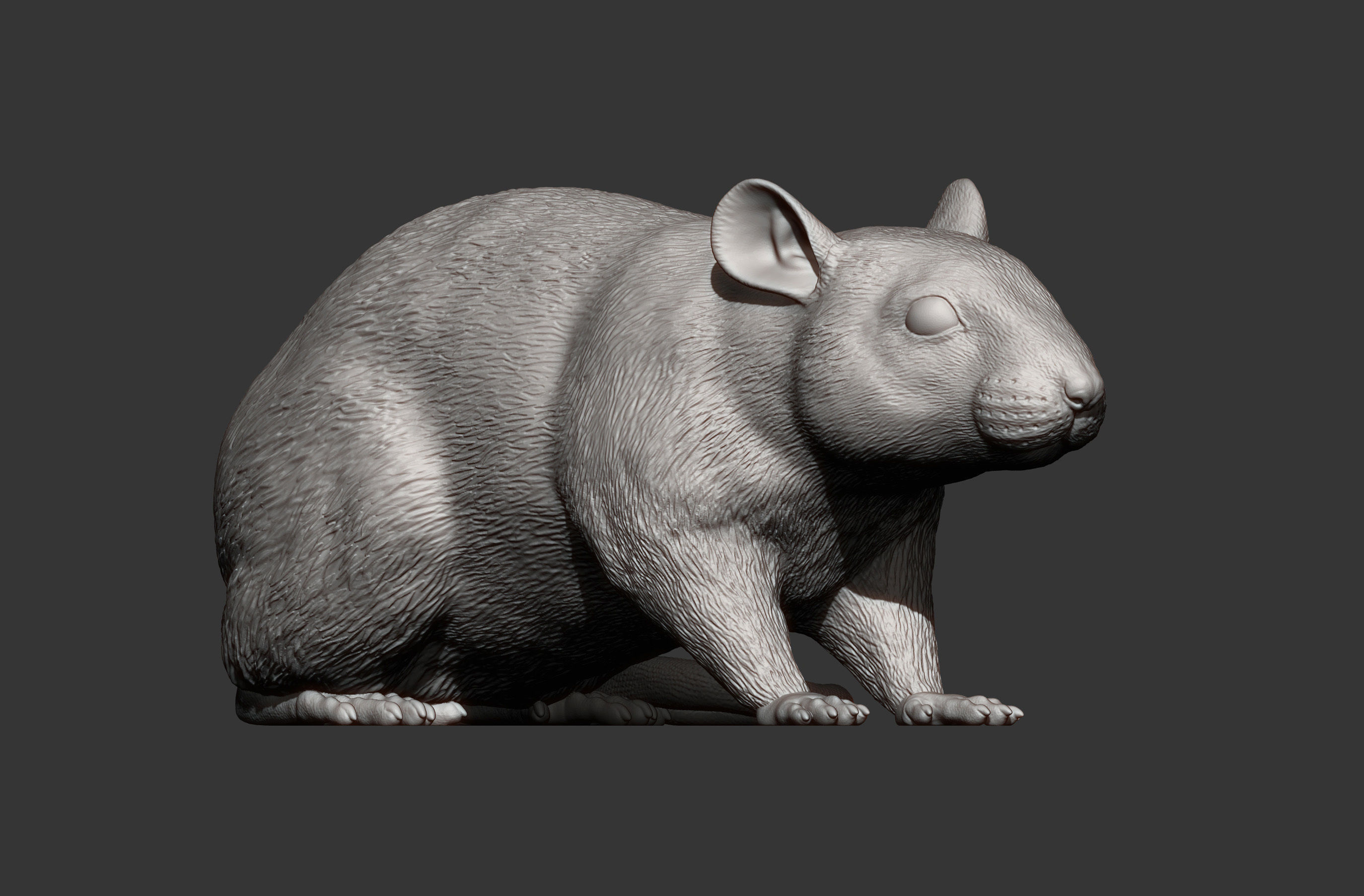 Rat 3D print model 3D model 3D printable | CGTrader