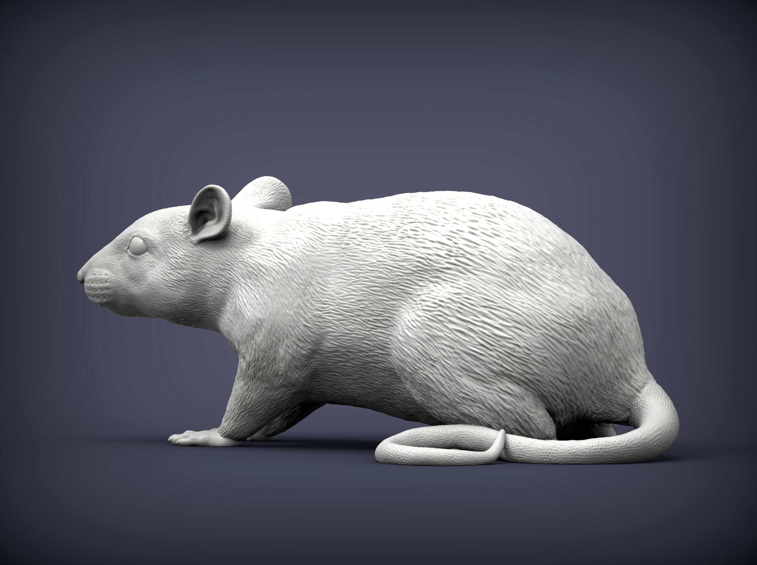 Rat 3D print model 3D model 3D printable | CGTrader