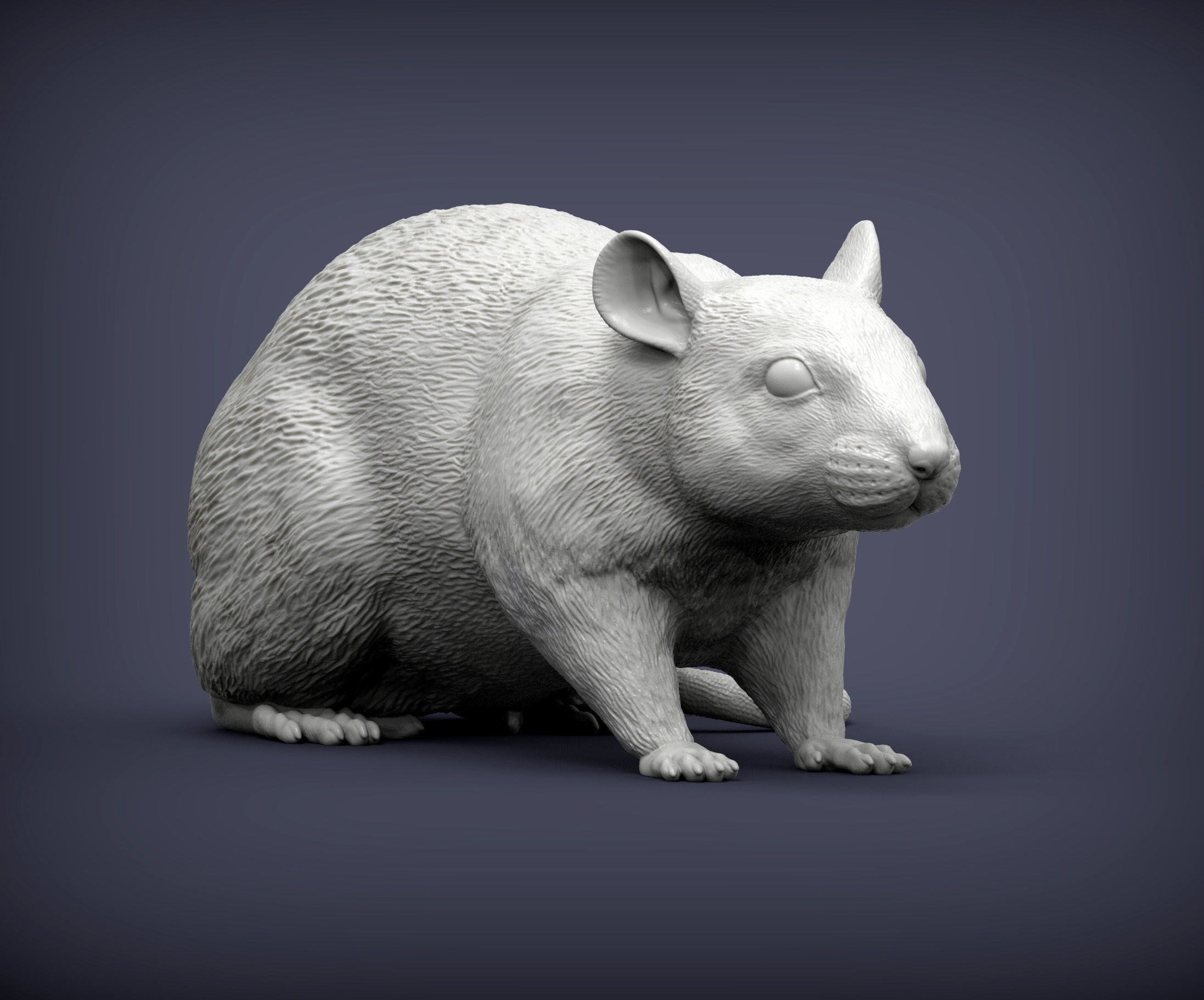 Rat 3D print model 3D model 3D printable | CGTrader