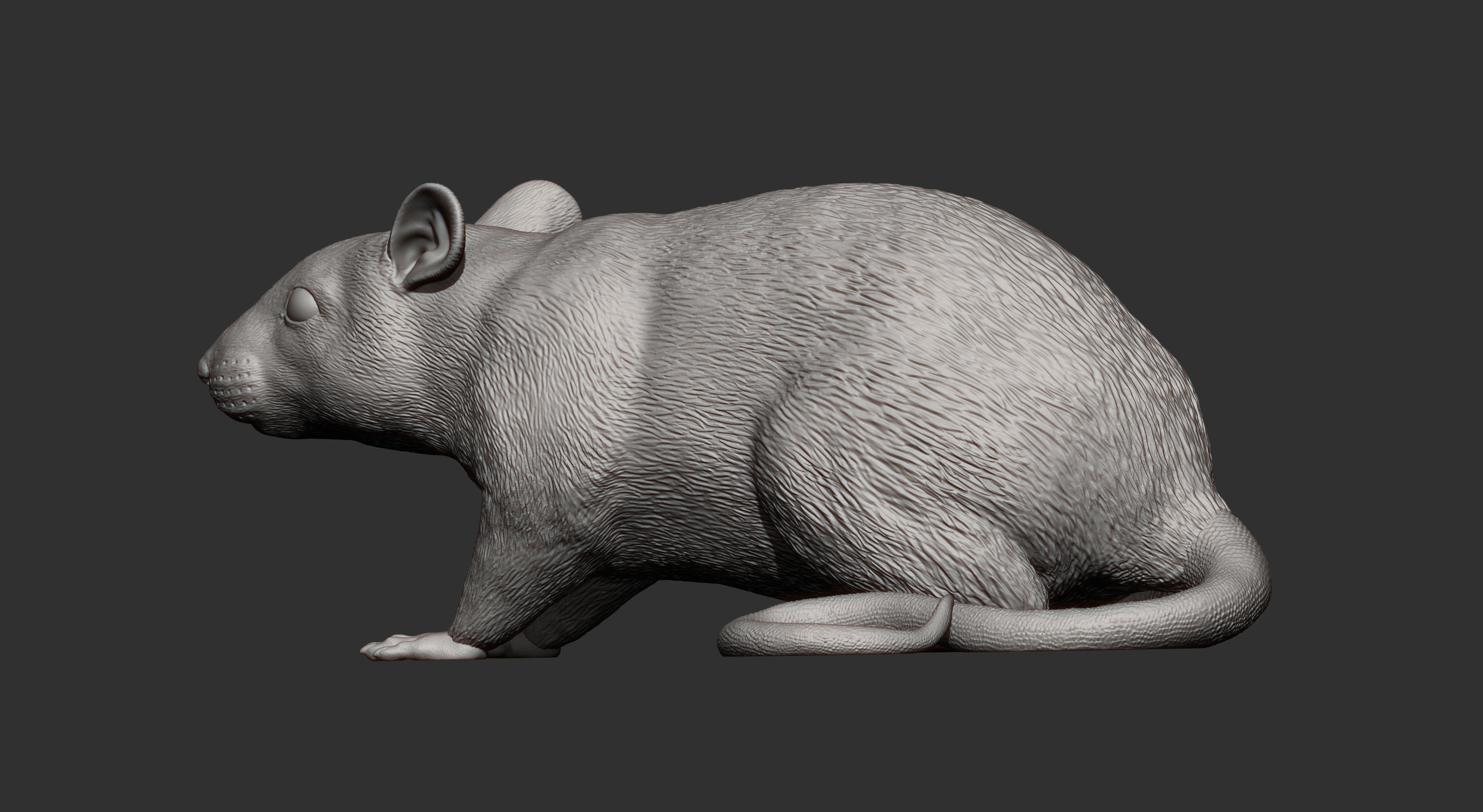 Rat 3D print model 3D model 3D printable | CGTrader