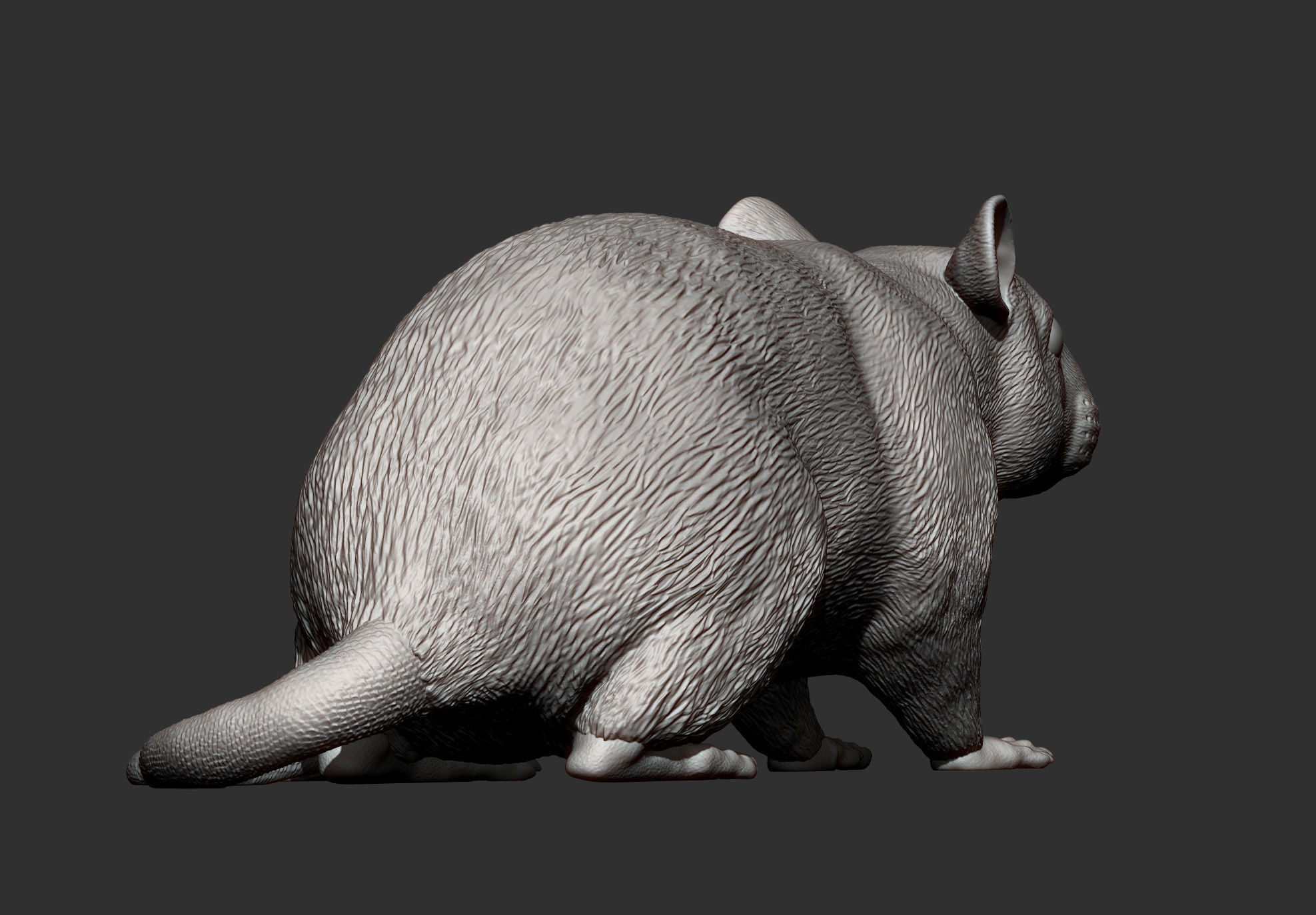 Rat 3D print model 3D model 3D printable | CGTrader