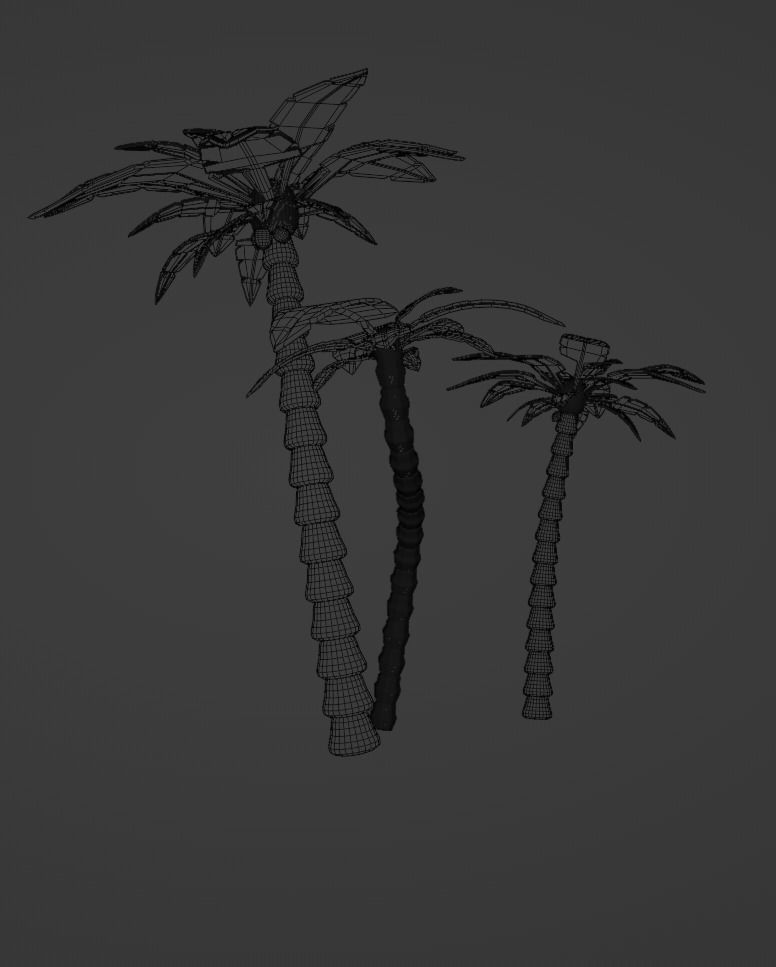 Palm tree free 3D model | CGTrader