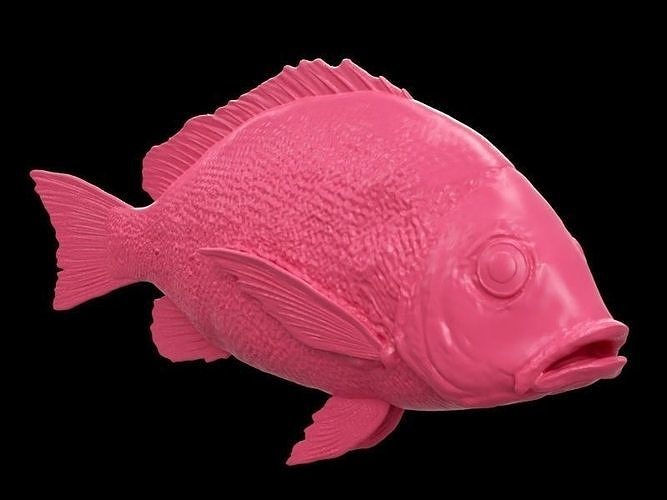 Red Snapper fish 3D model 3D printable | CGTrader