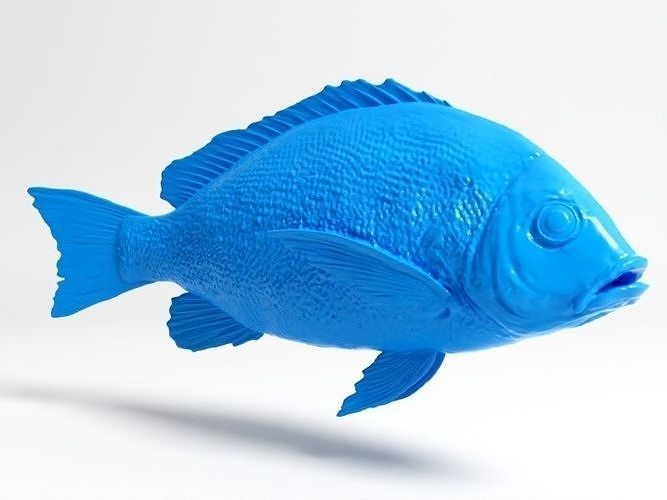 Snapper fish 3D model 3D printable | CGTrader