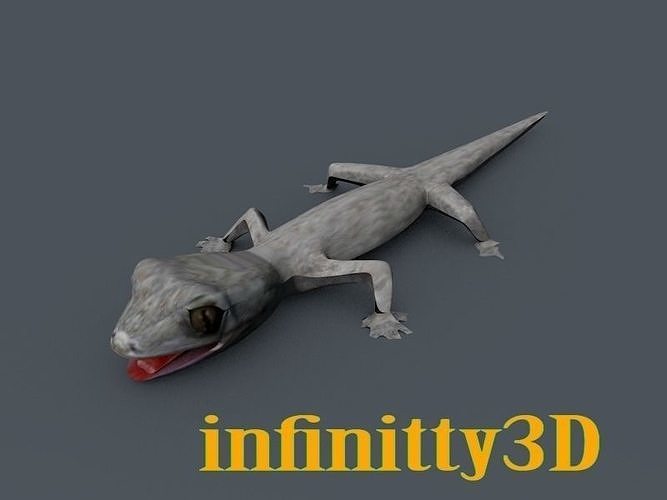 3D model Gecko VR / AR / low-poly | CGTrader