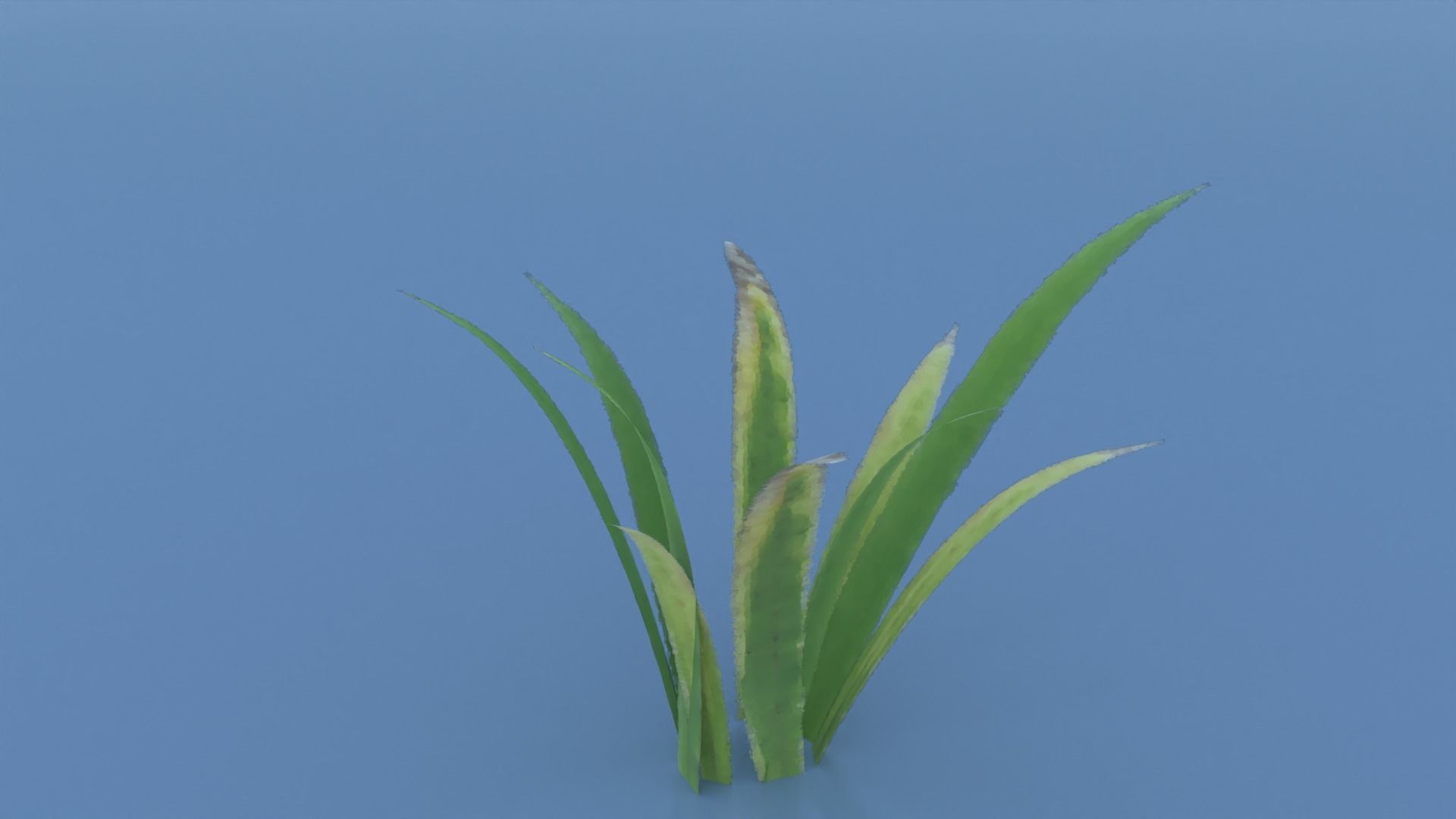 3D model Stylized Grass Pack 01 VR / AR / low-poly | CGTrader
