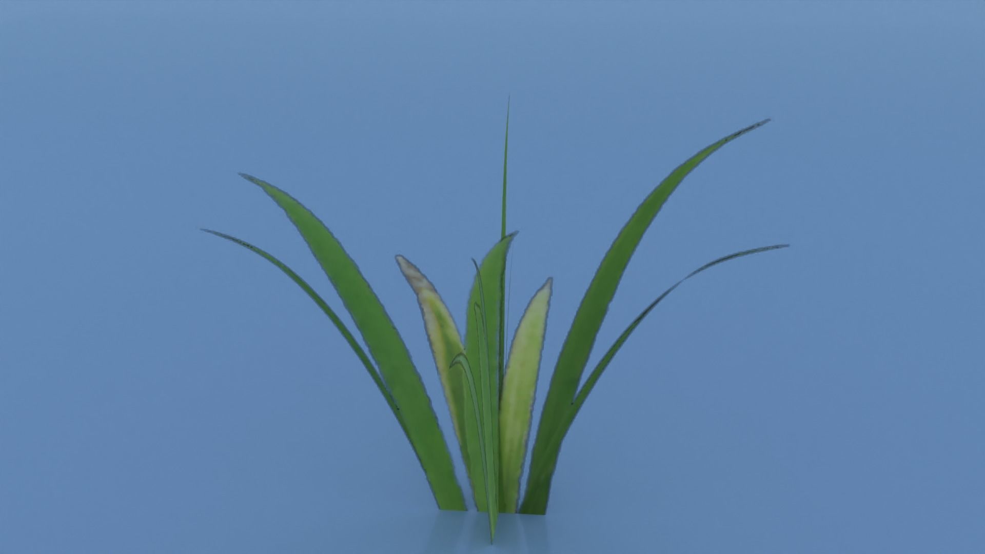 3D model Stylized Grass Pack 01 VR / AR / low-poly | CGTrader
