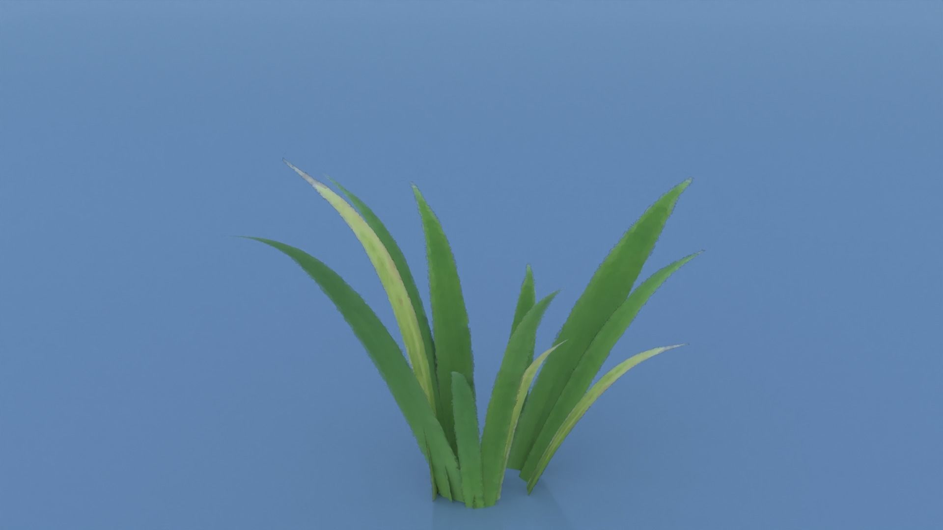 3D model Stylized Grass Pack 01 VR / AR / low-poly | CGTrader