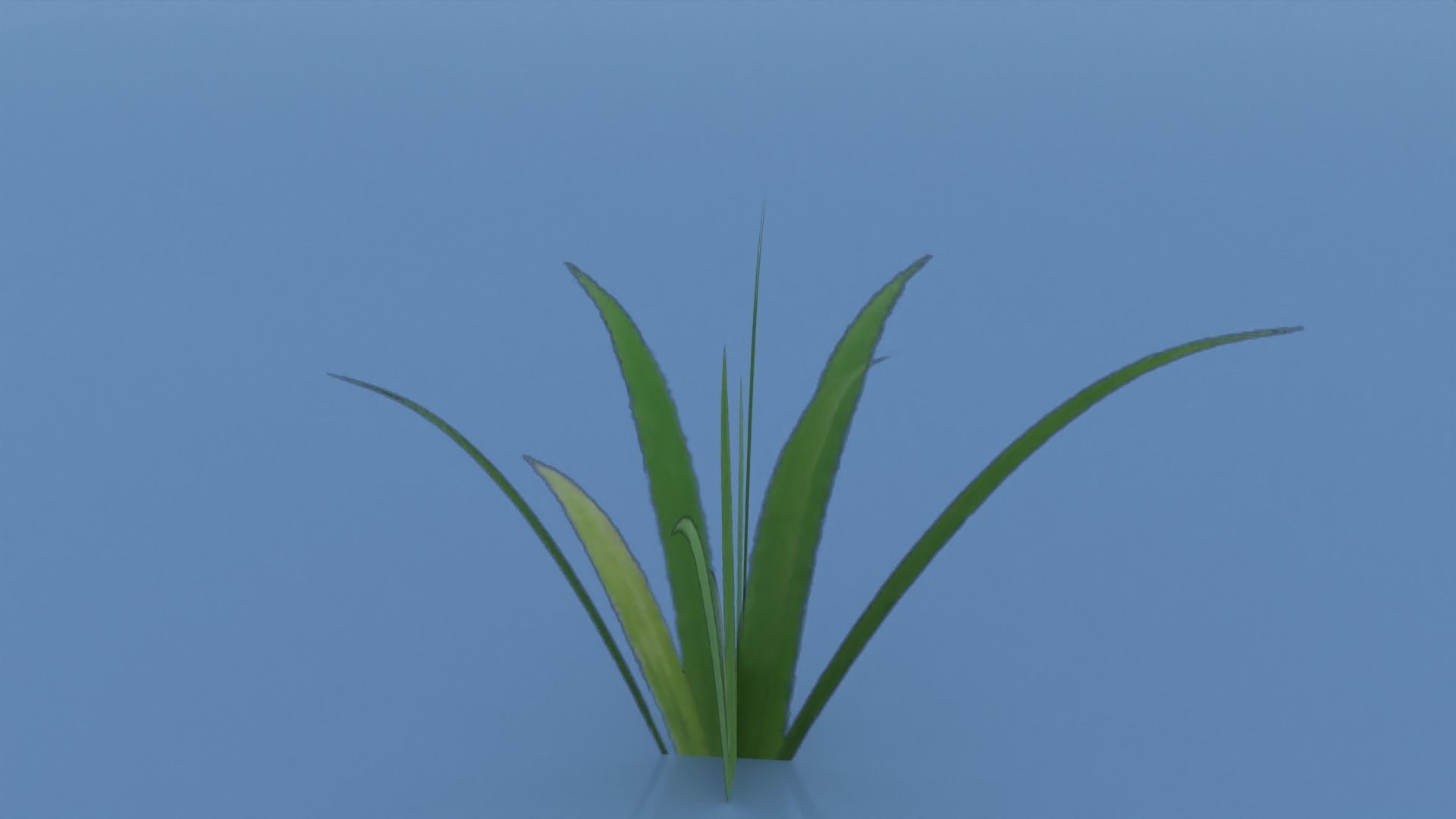 3D model Stylized Grass Pack 01 VR / AR / low-poly | CGTrader