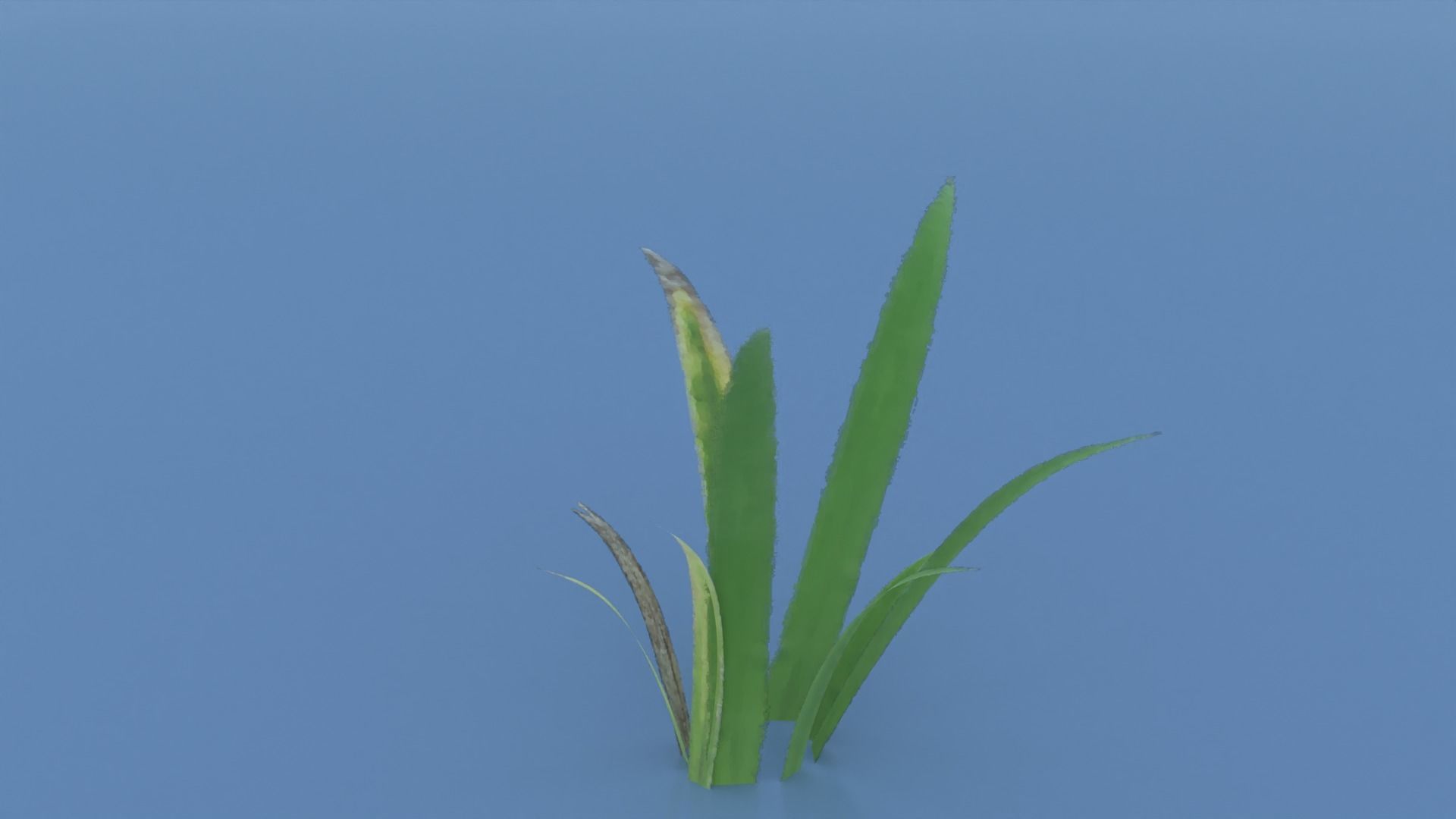 3D model Stylized Grass Pack 01 VR / AR / low-poly | CGTrader