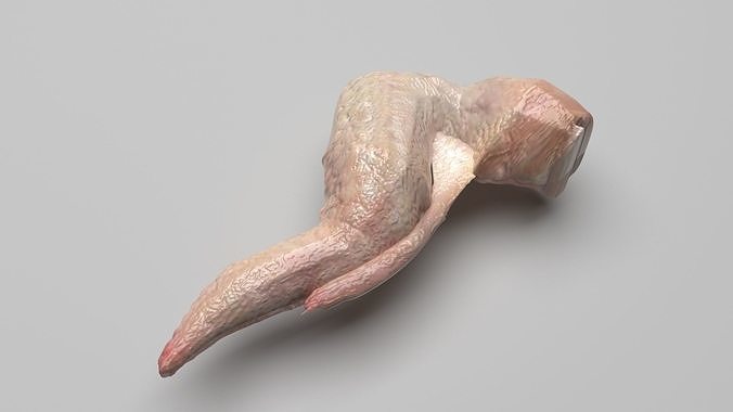 Chicken Wing 3D model | CGTrader