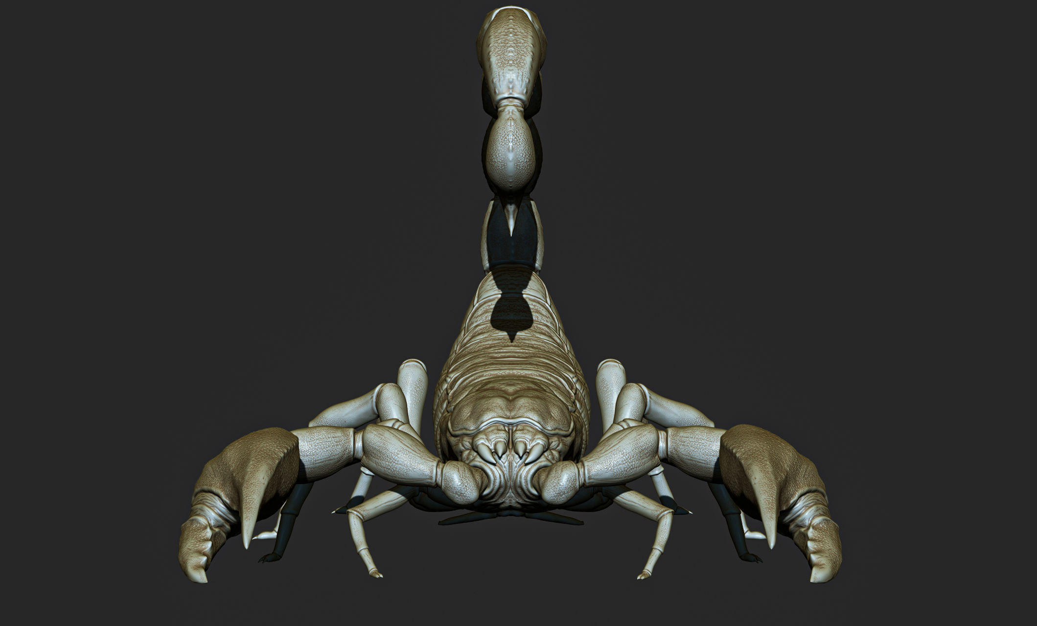 3 Insects 3D model | CGTrader