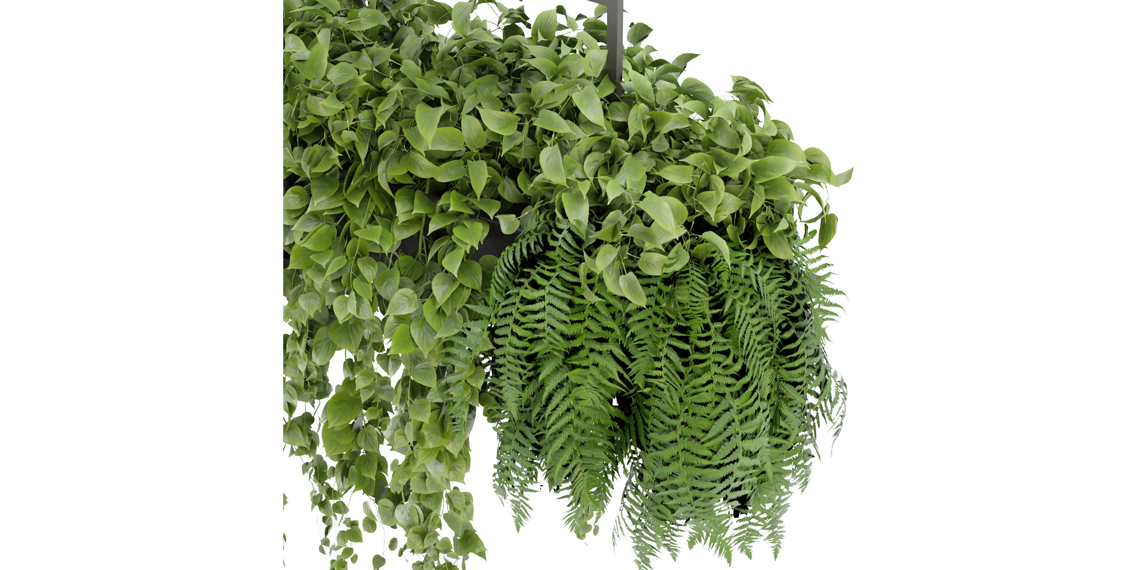 Collection plant vol 277 - blender model 3D model | CGTrader
