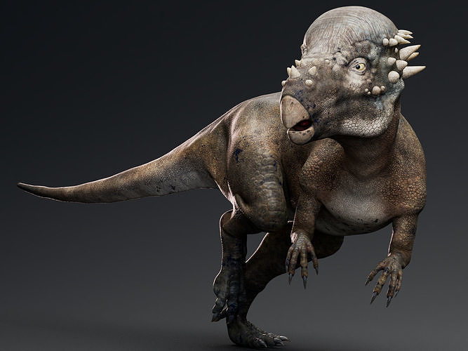 3D model Pachycephalosaurus VR / AR / low-poly | CGTrader