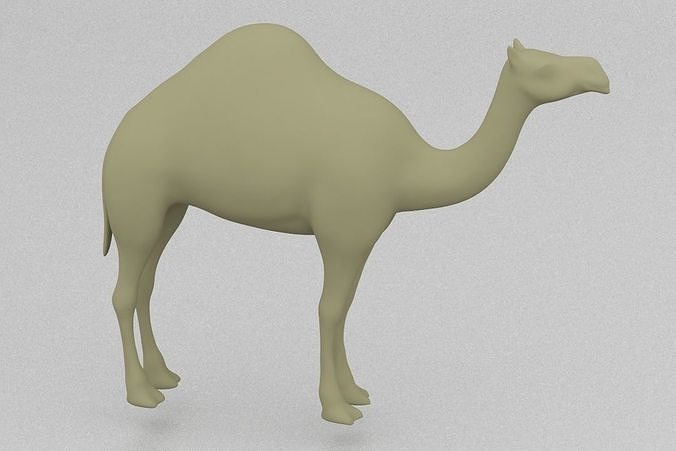 Camel 3D model 3D printable | CGTrader