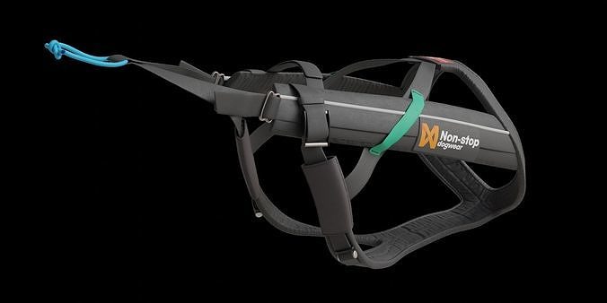 Dog Harness 3D model | CGTrader
