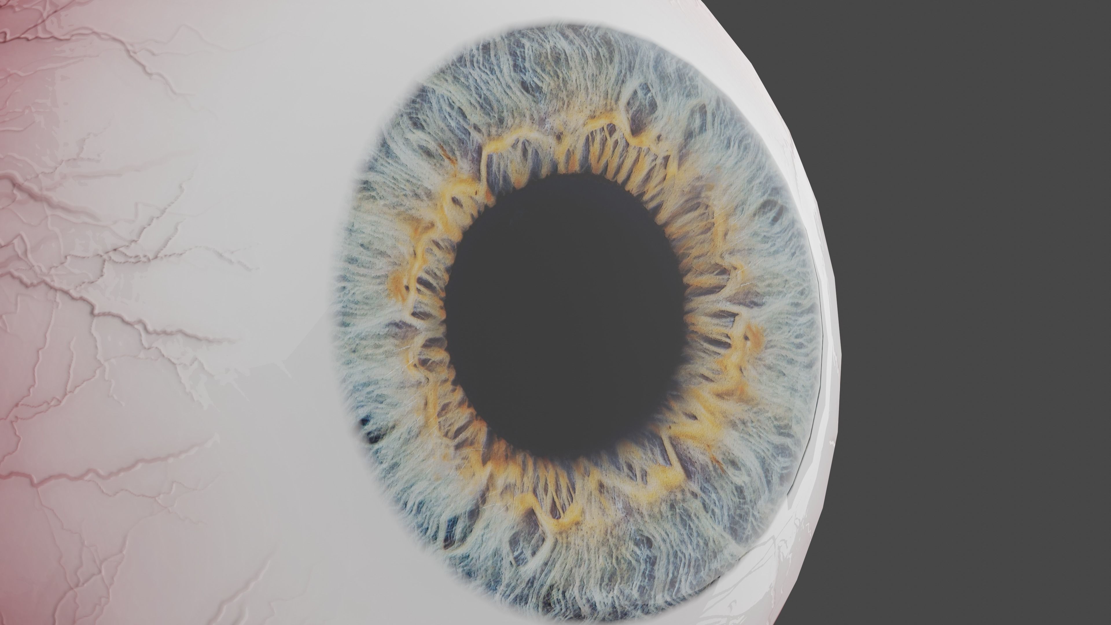 Realistic Eye 3D Model 3D model | CGTrader