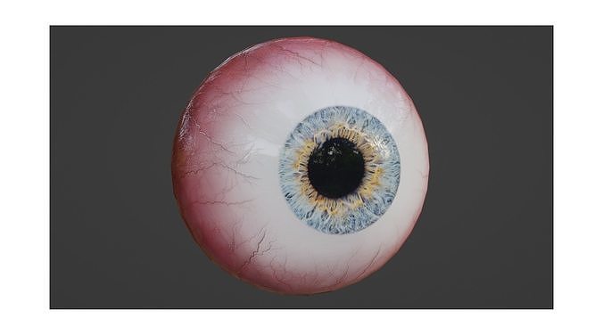 Realistic Eye 3D Model 3D model | CGTrader