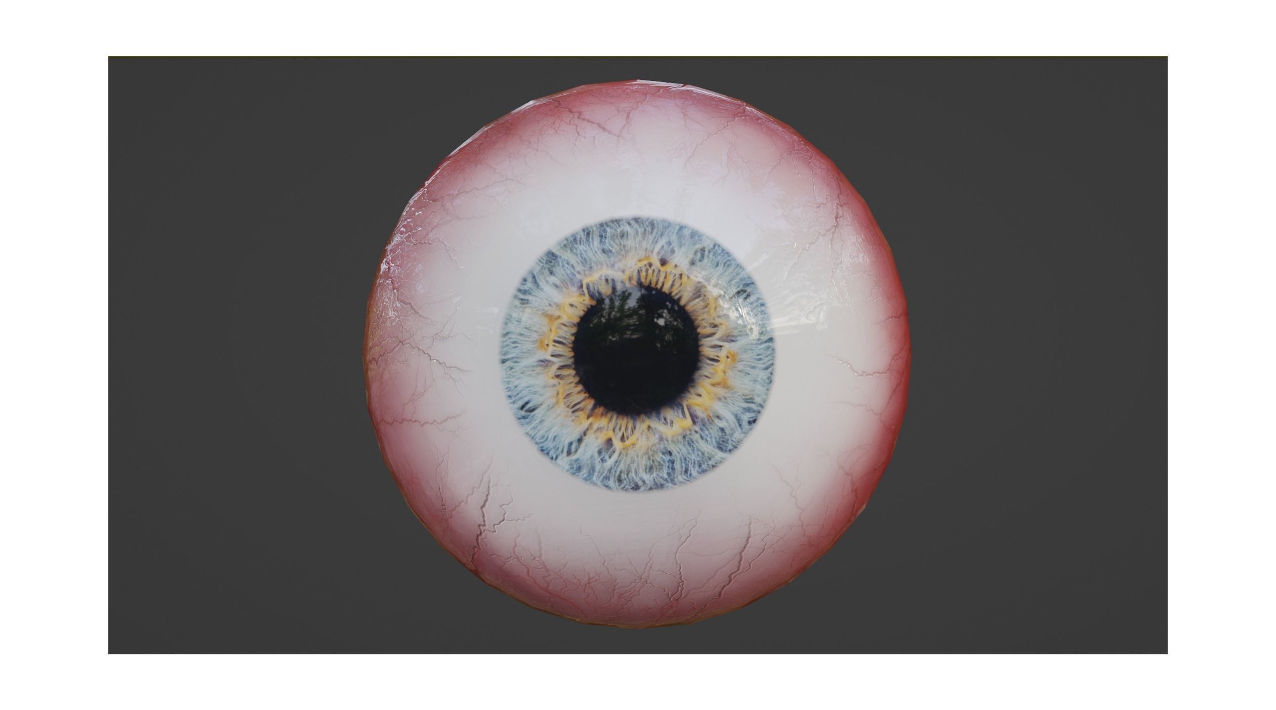 Realistic Eye 3D Model 3D model | CGTrader