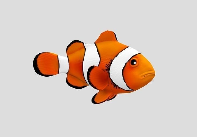 Cartoon Clown Fish