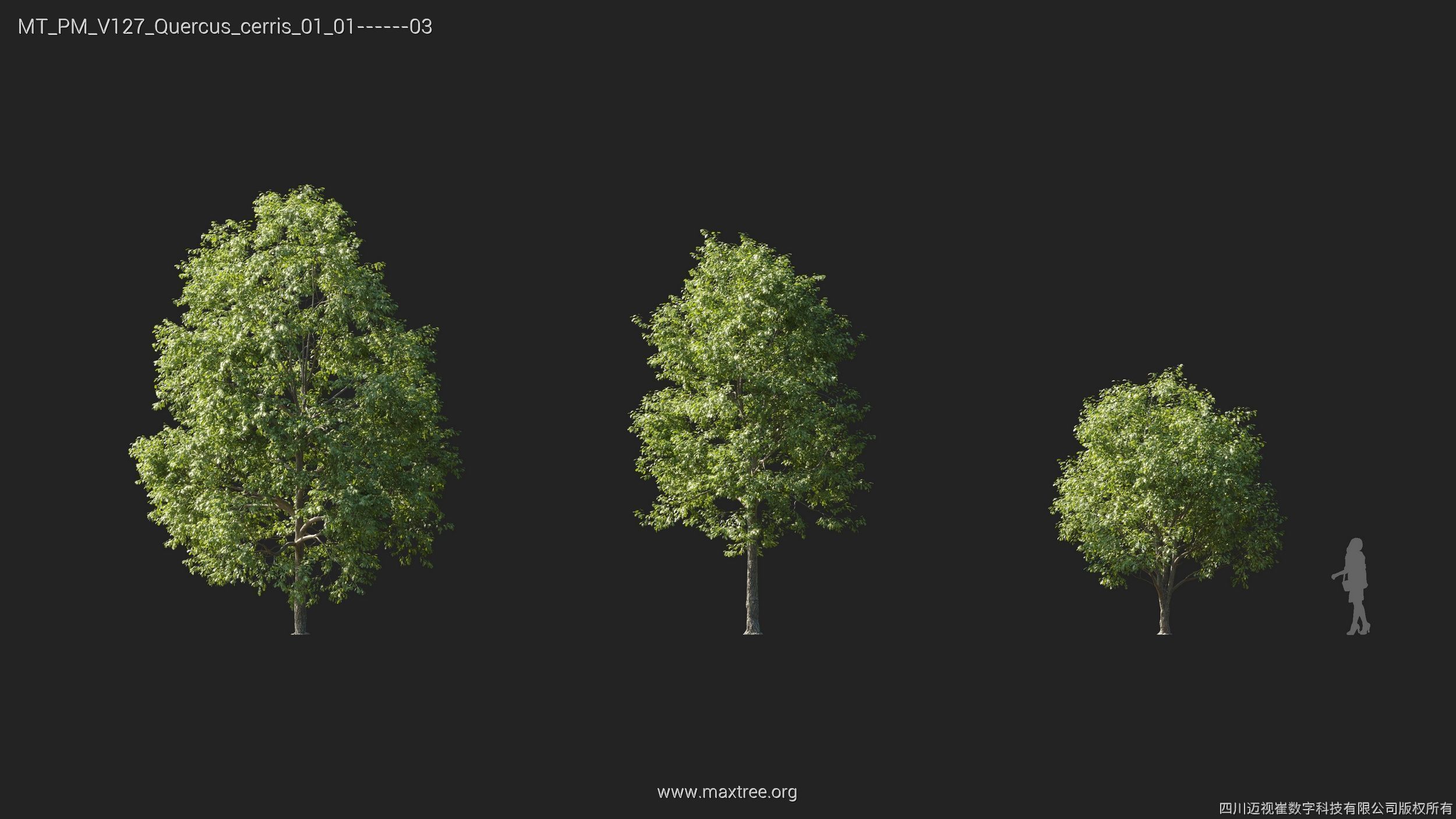 Maxtree Plant Models Vol 127 - Mesh 3D model | CGTrader
