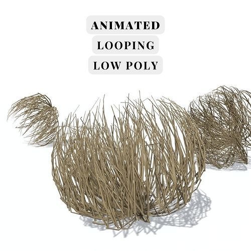 3D model Tumbleweed animated looping VR / AR / low-poly | CGTrader