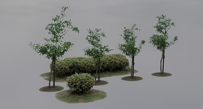 3D model Vegetation Assets - Trees Bushes VR / AR / low-poly | CGTrader
