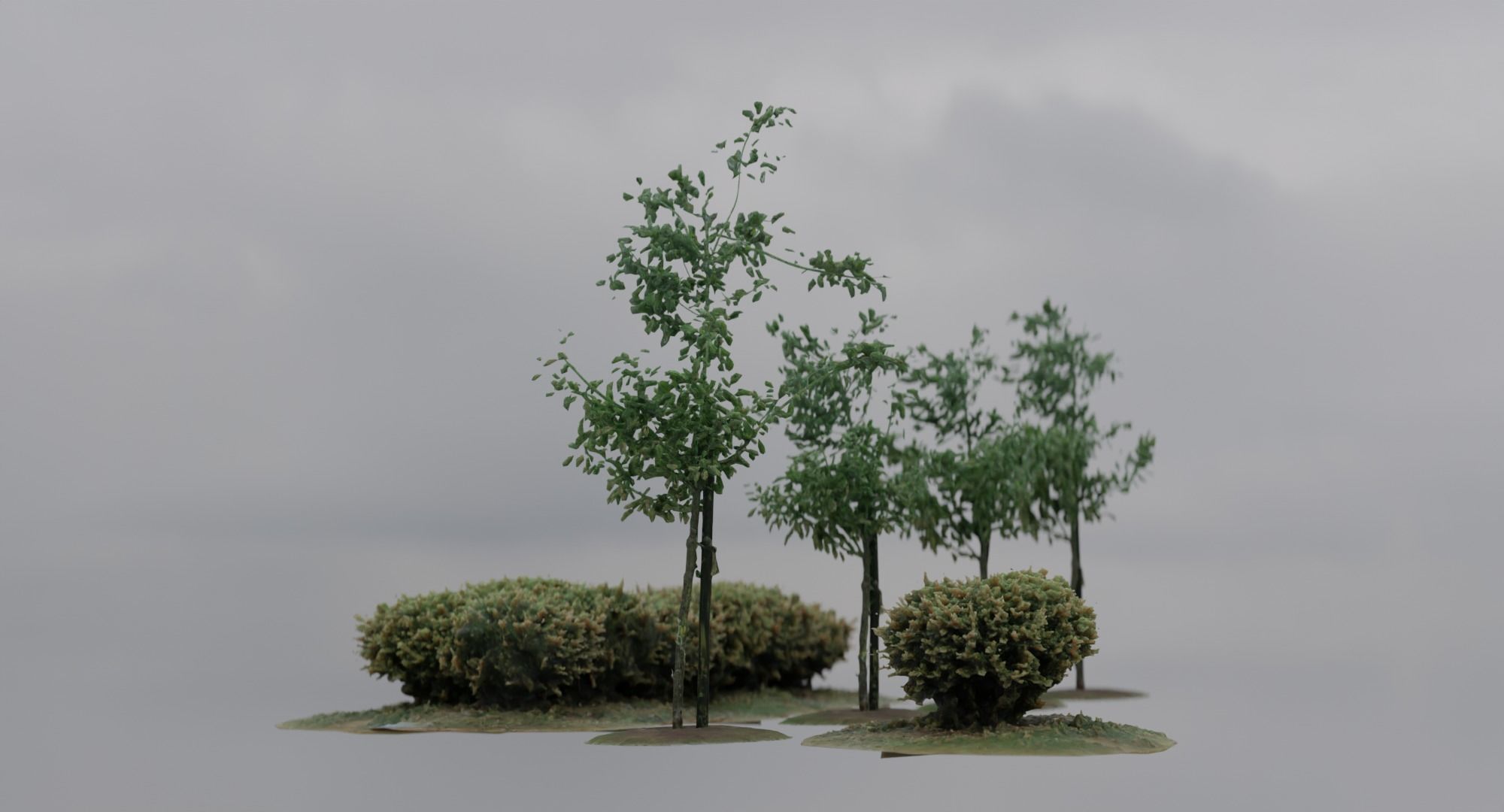 3D model Vegetation Assets - Trees Bushes VR / AR / low-poly | CGTrader