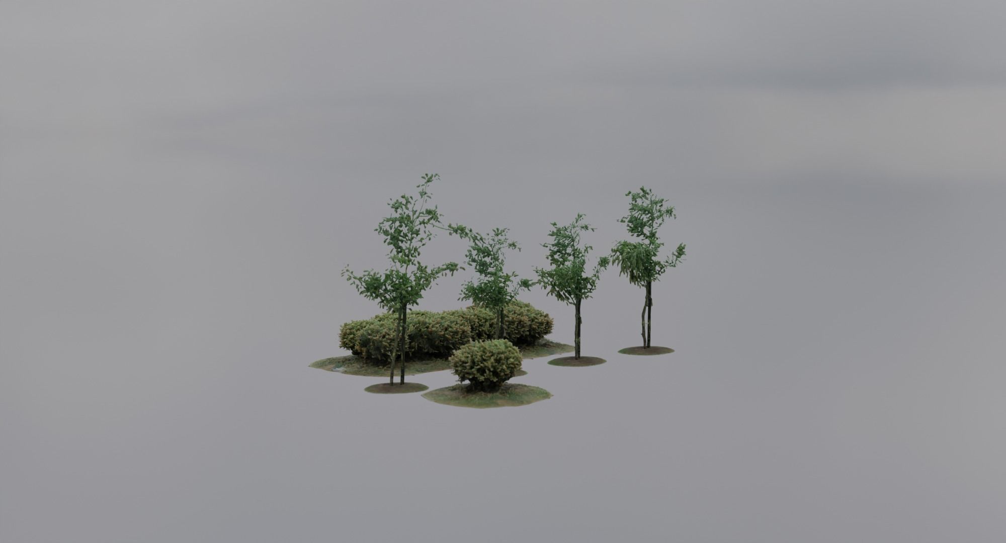 3D model Vegetation Assets - Trees Bushes VR / AR / low-poly | CGTrader