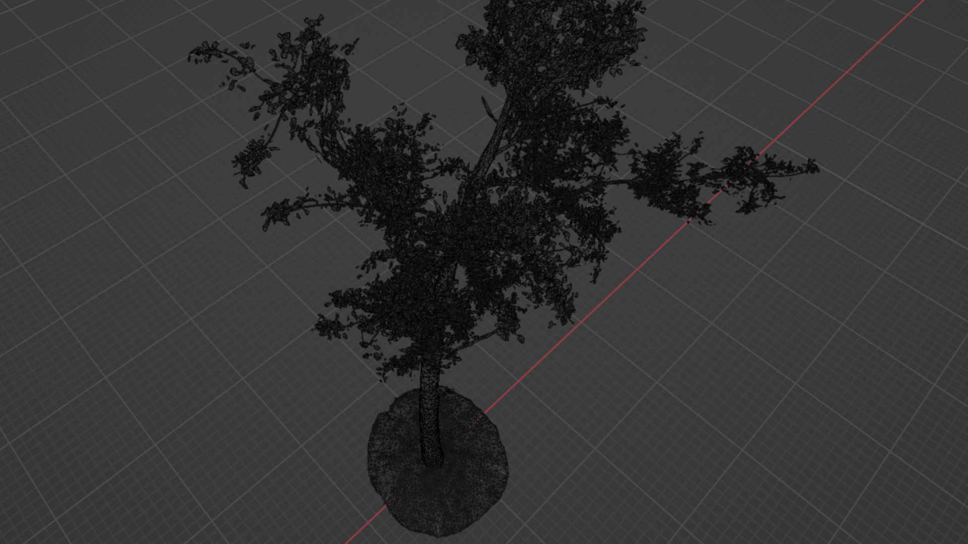 Tall Tree 3D model | CGTrader