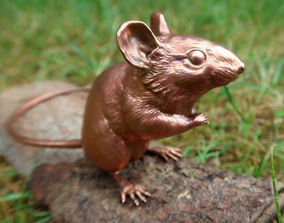 Mouse 3D Printing Models | CGTrader