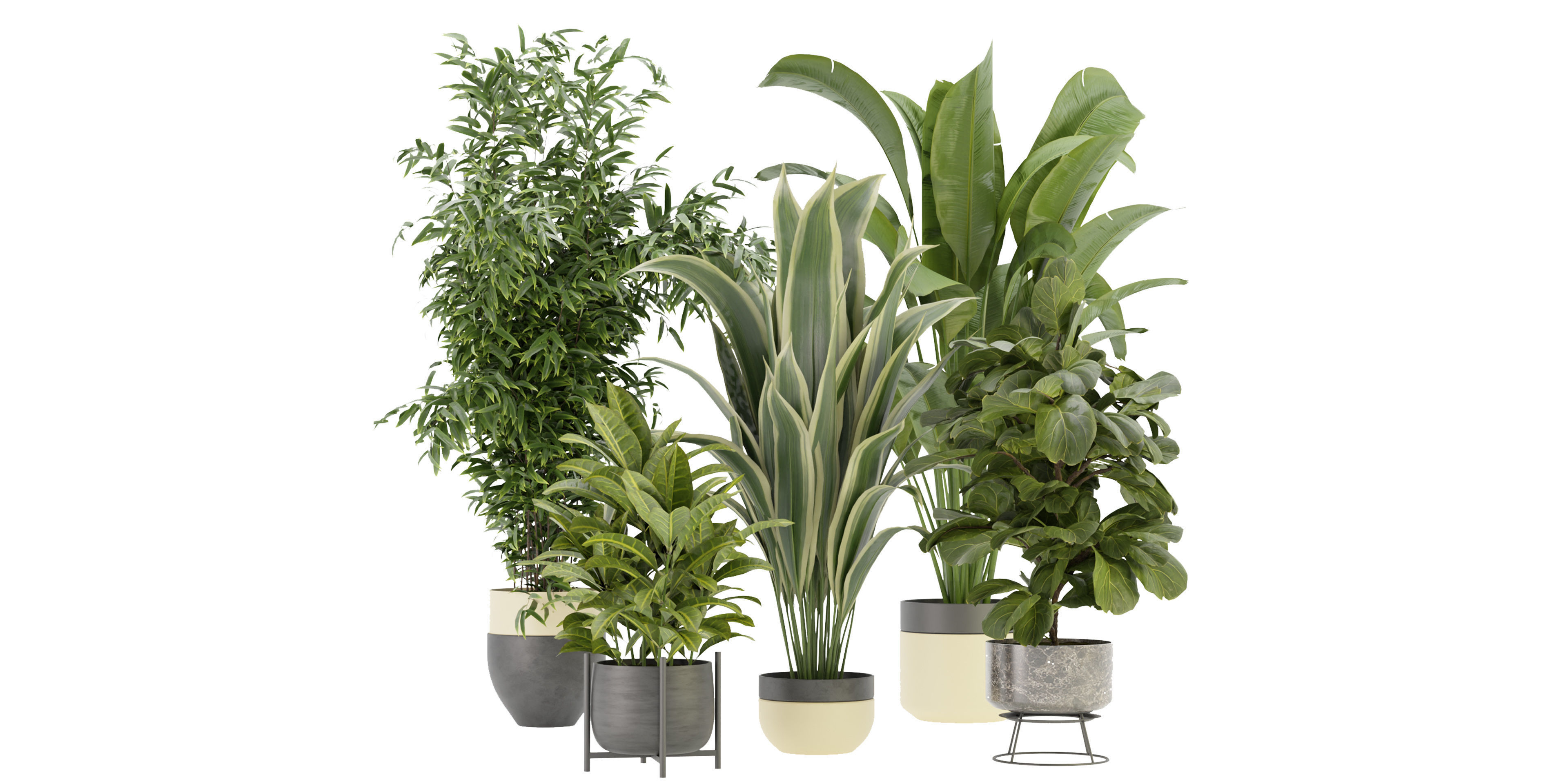 Collection plant vol 353 - blender model 3D model | CGTrader