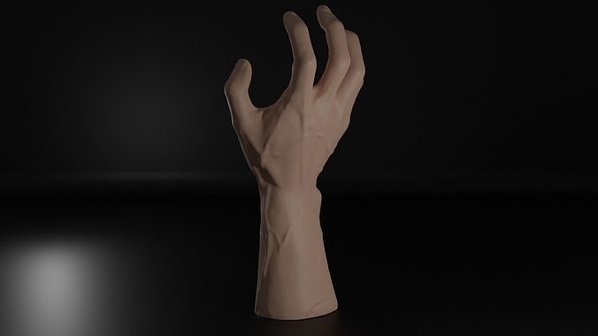 human hand 3D model | CGTrader