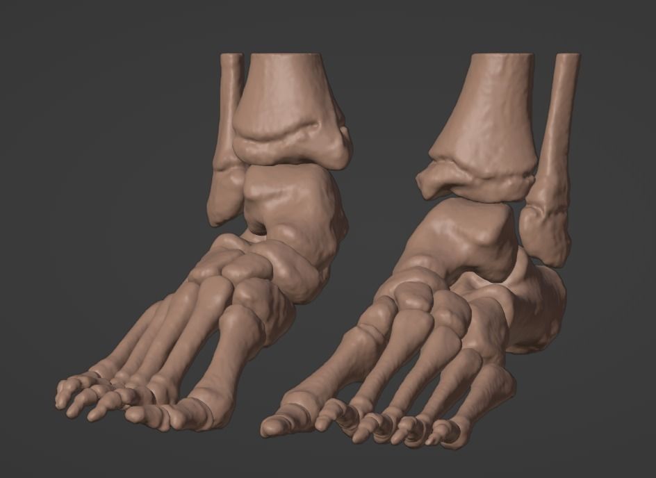 3D Model of Feet 3D model 3D printable | CGTrader