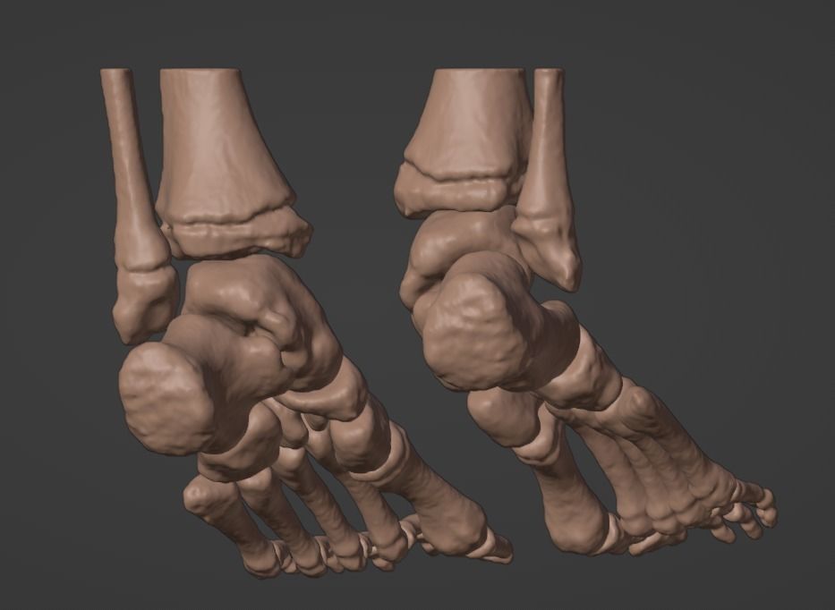 3D Model of Feet 3D model 3D printable | CGTrader
