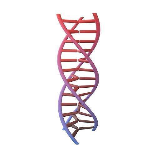 Triple Helix DNA v1 007 3D model | CGTrader
