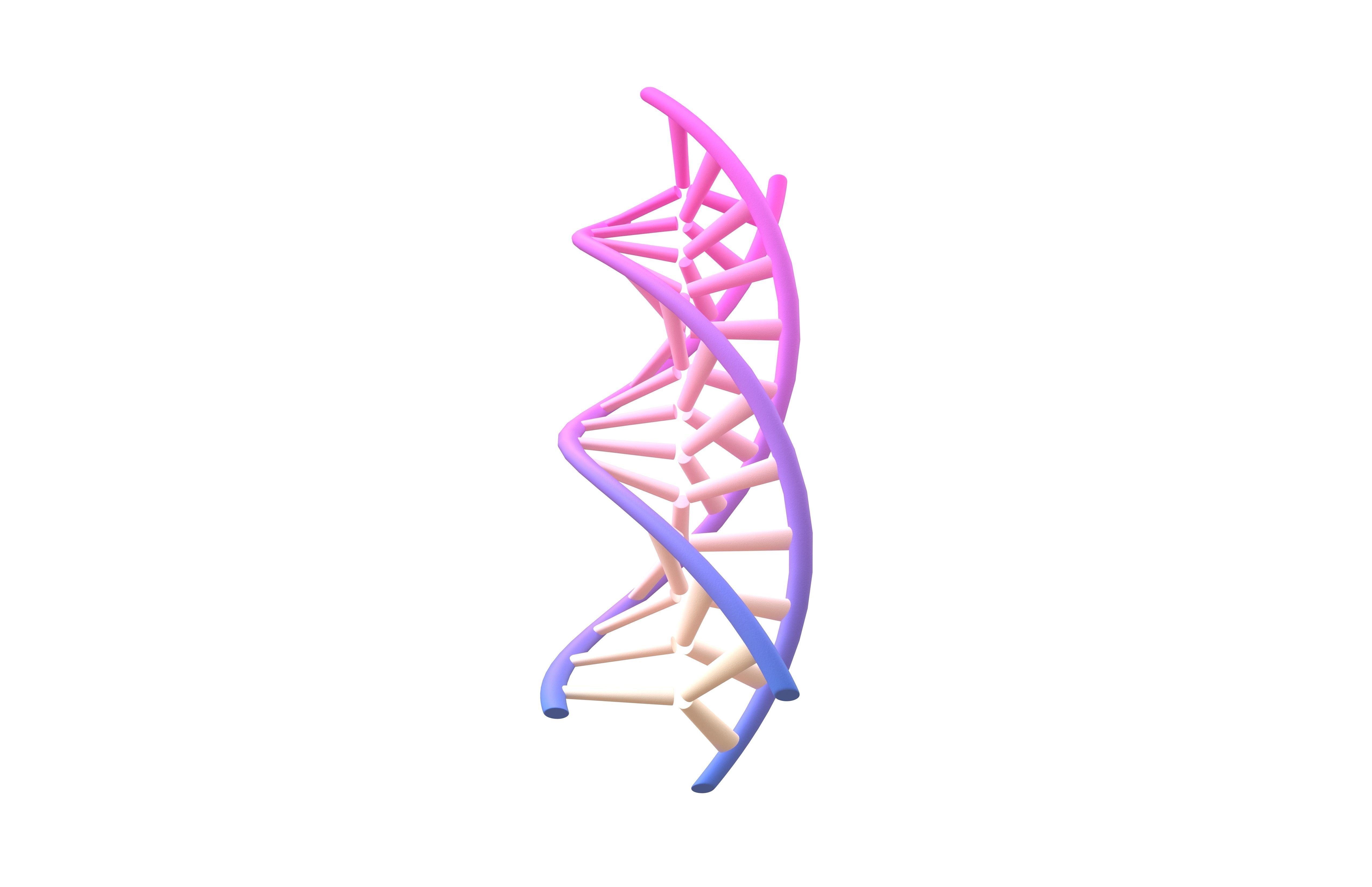 Triple Helix DNA v1 009 3D model | CGTrader