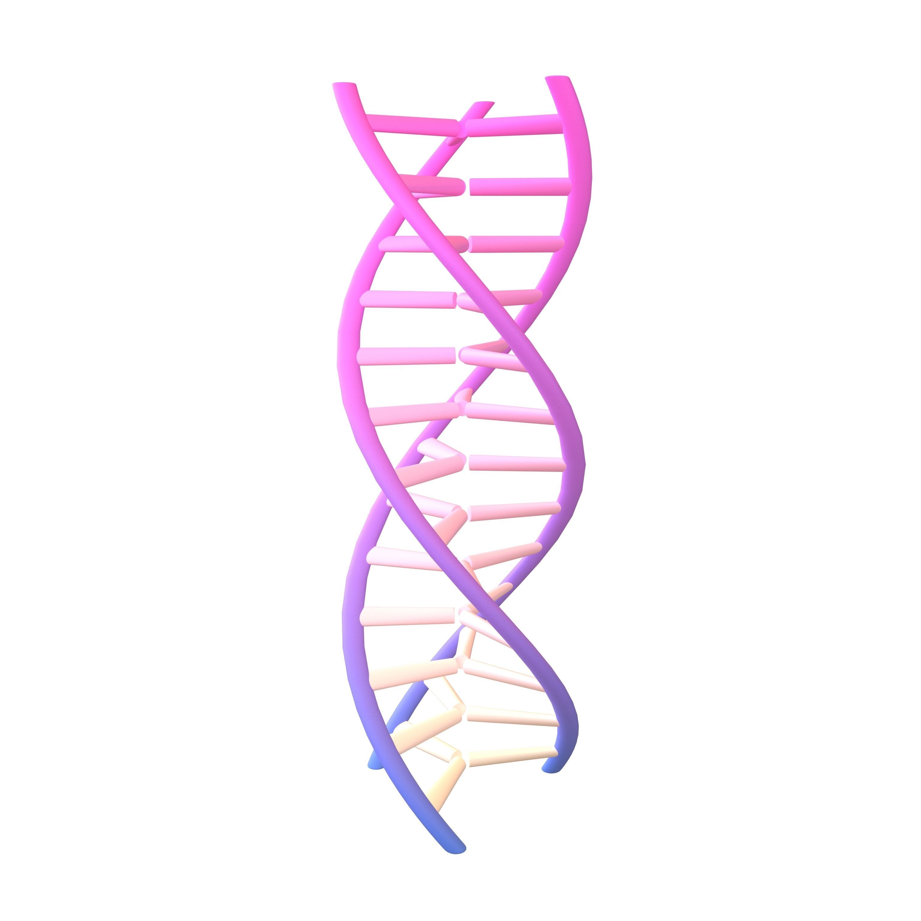 Triple Helix DNA v1 009 3D model | CGTrader
