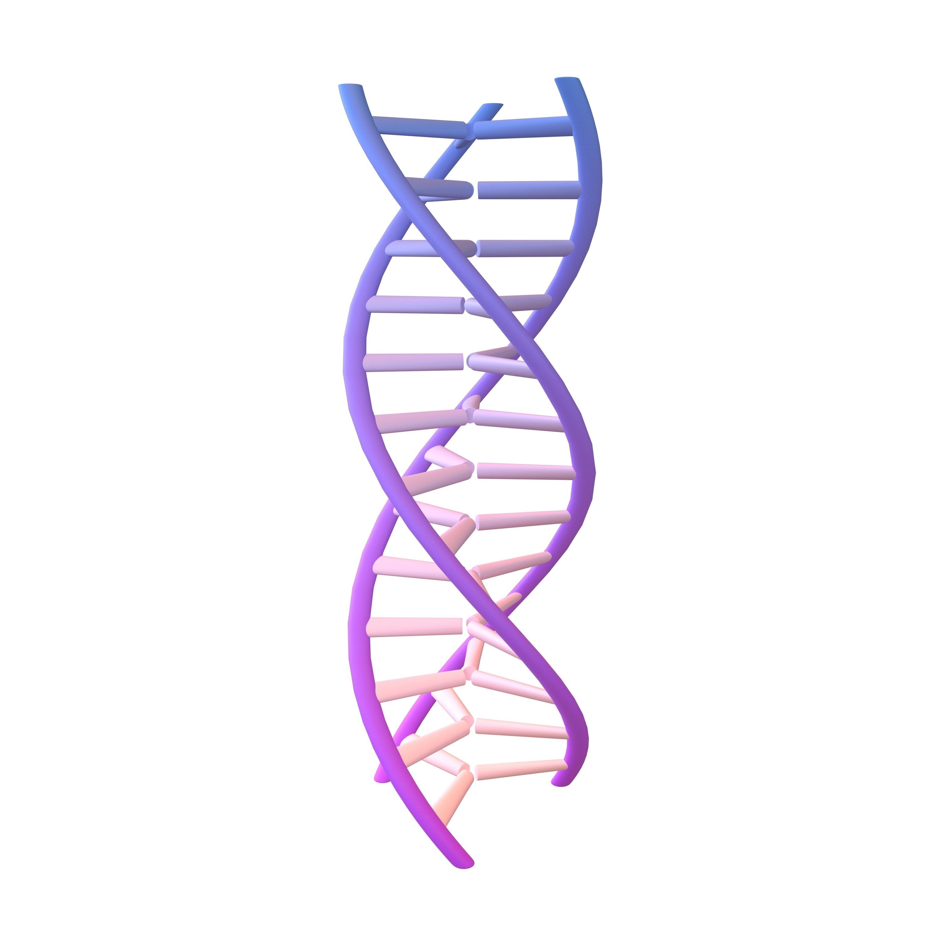 Triple Helix DNA v1 010 3D model | CGTrader