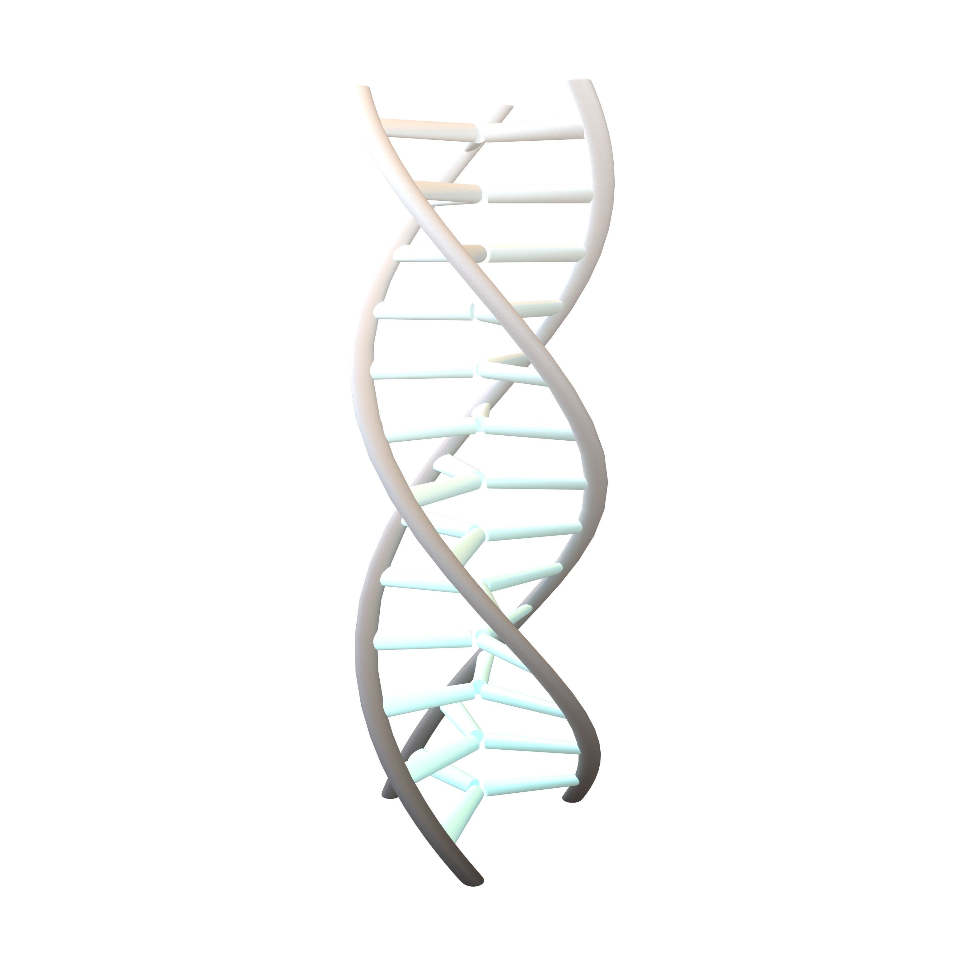 Triple Helix DNA v1 011 3D model | CGTrader