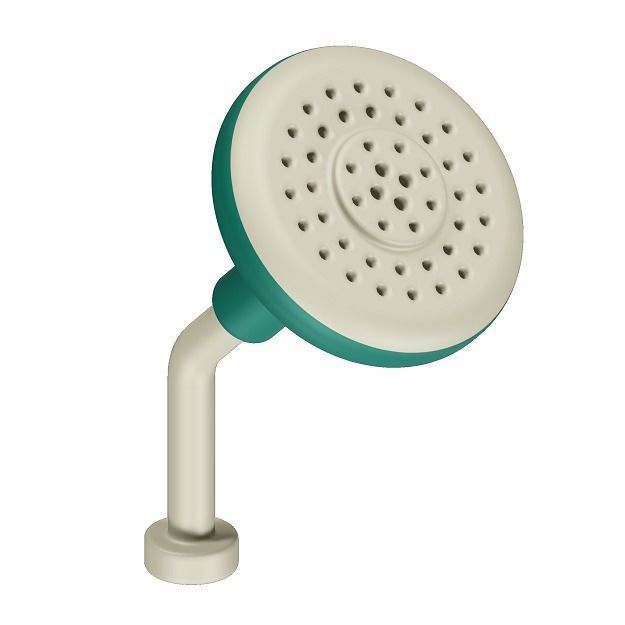 Plastic Luxury Shower Head 3D model | CGTrader