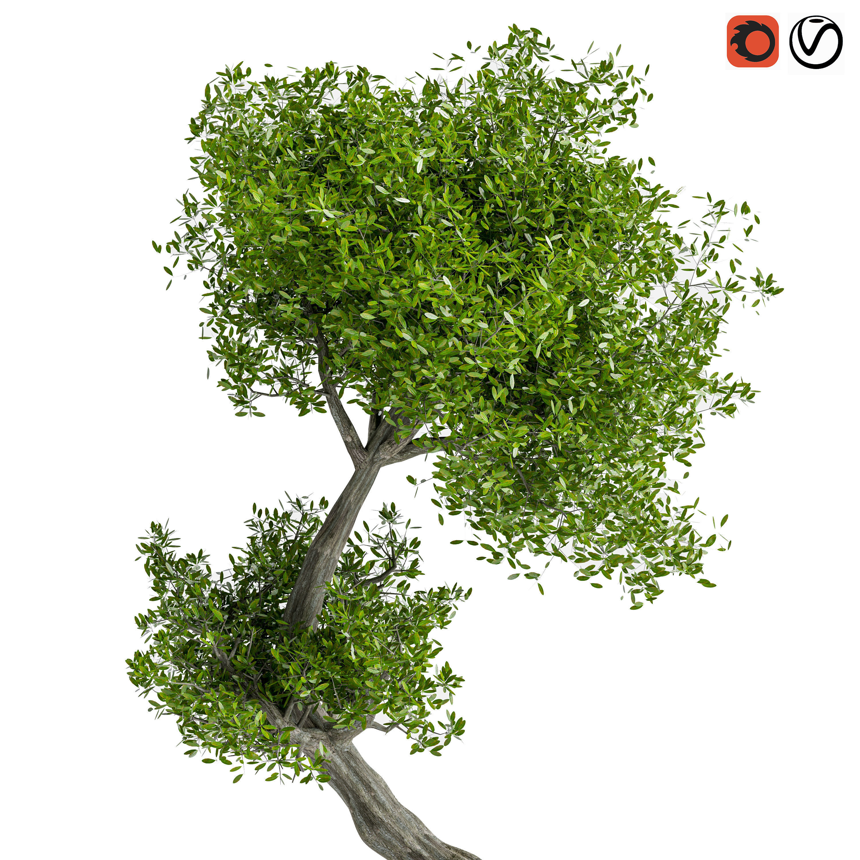Stylized Tree 3D model | CGTrader