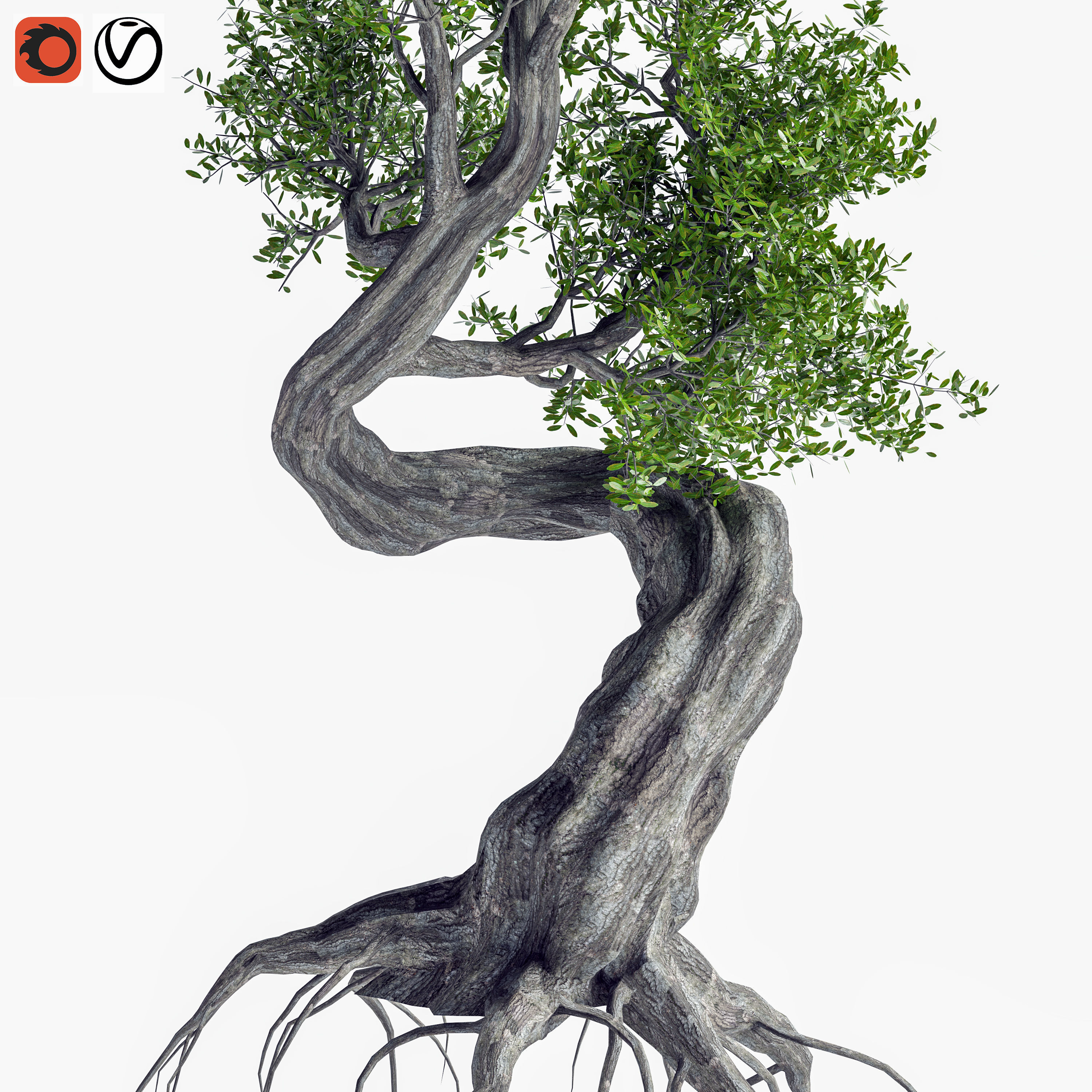 Stylized Tree 3D model | CGTrader