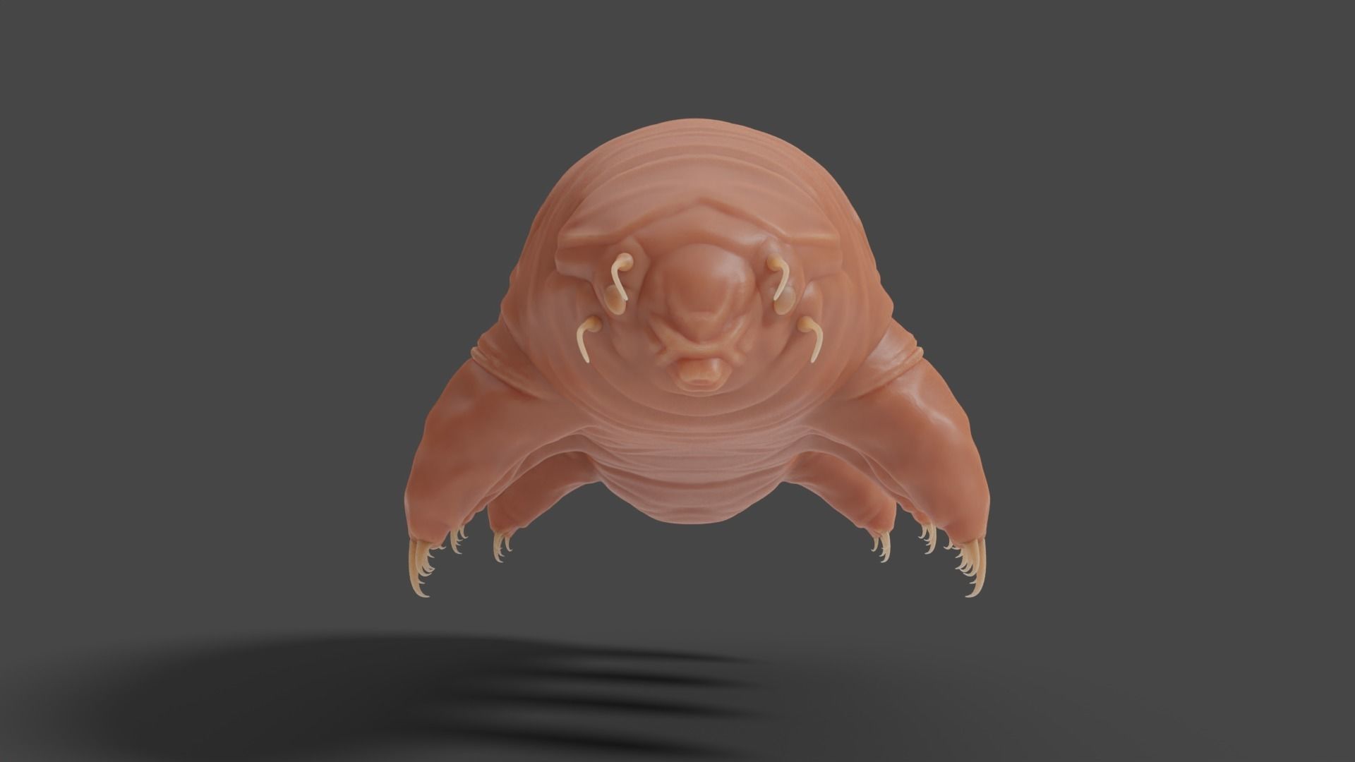 3D Tardigrade Sculpture Model 3D model | CGTrader