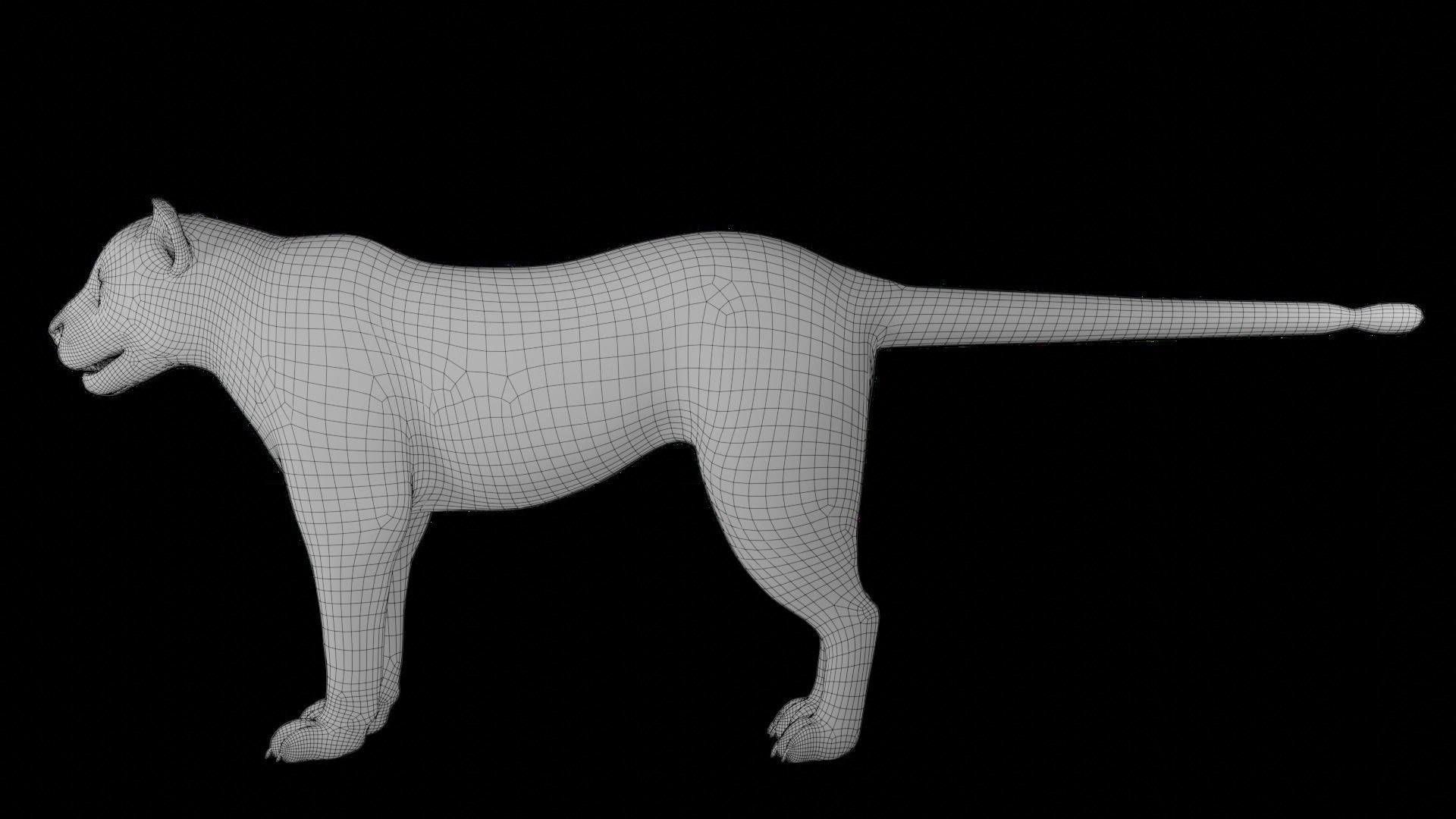 3D model Lioness Rigged V01 in Blender VR / AR / low-poly | CGTrader