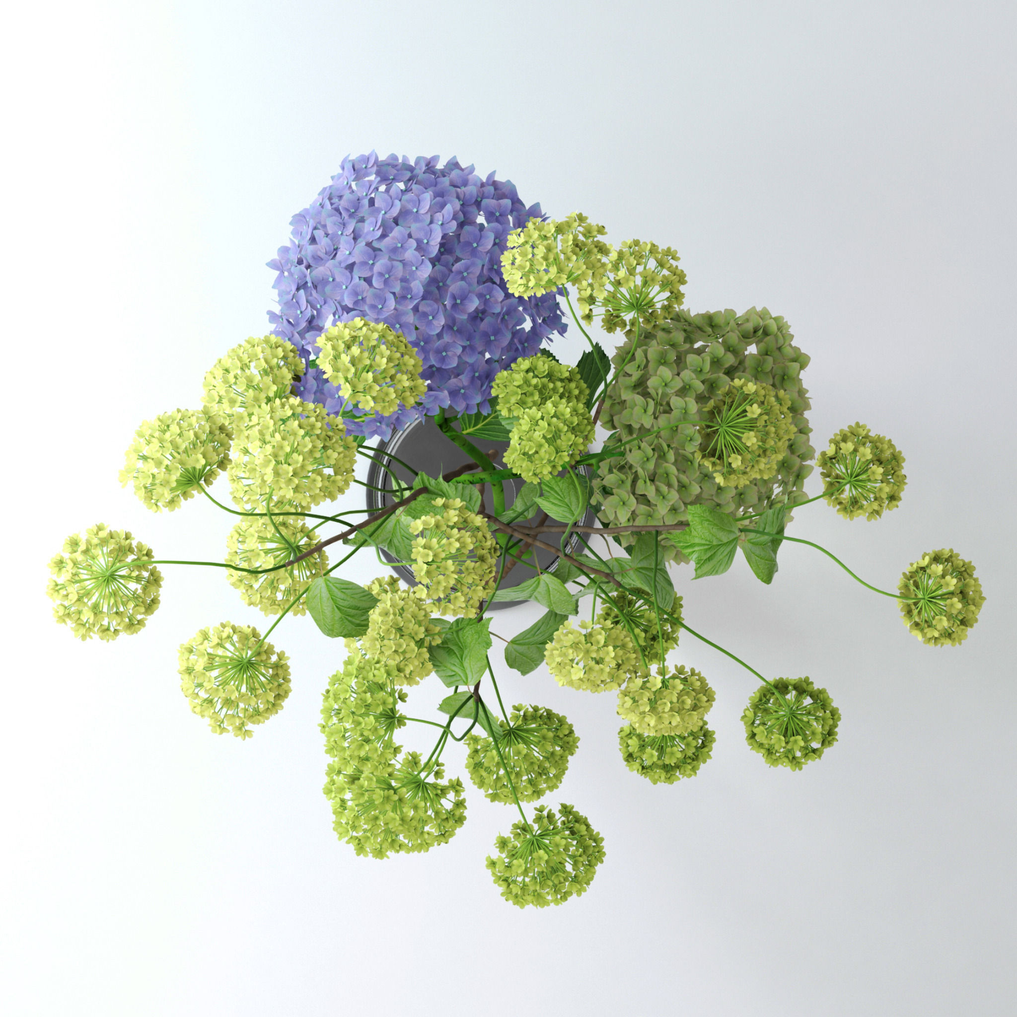 Hydrangeas and Viburnum 3D model | CGTrader